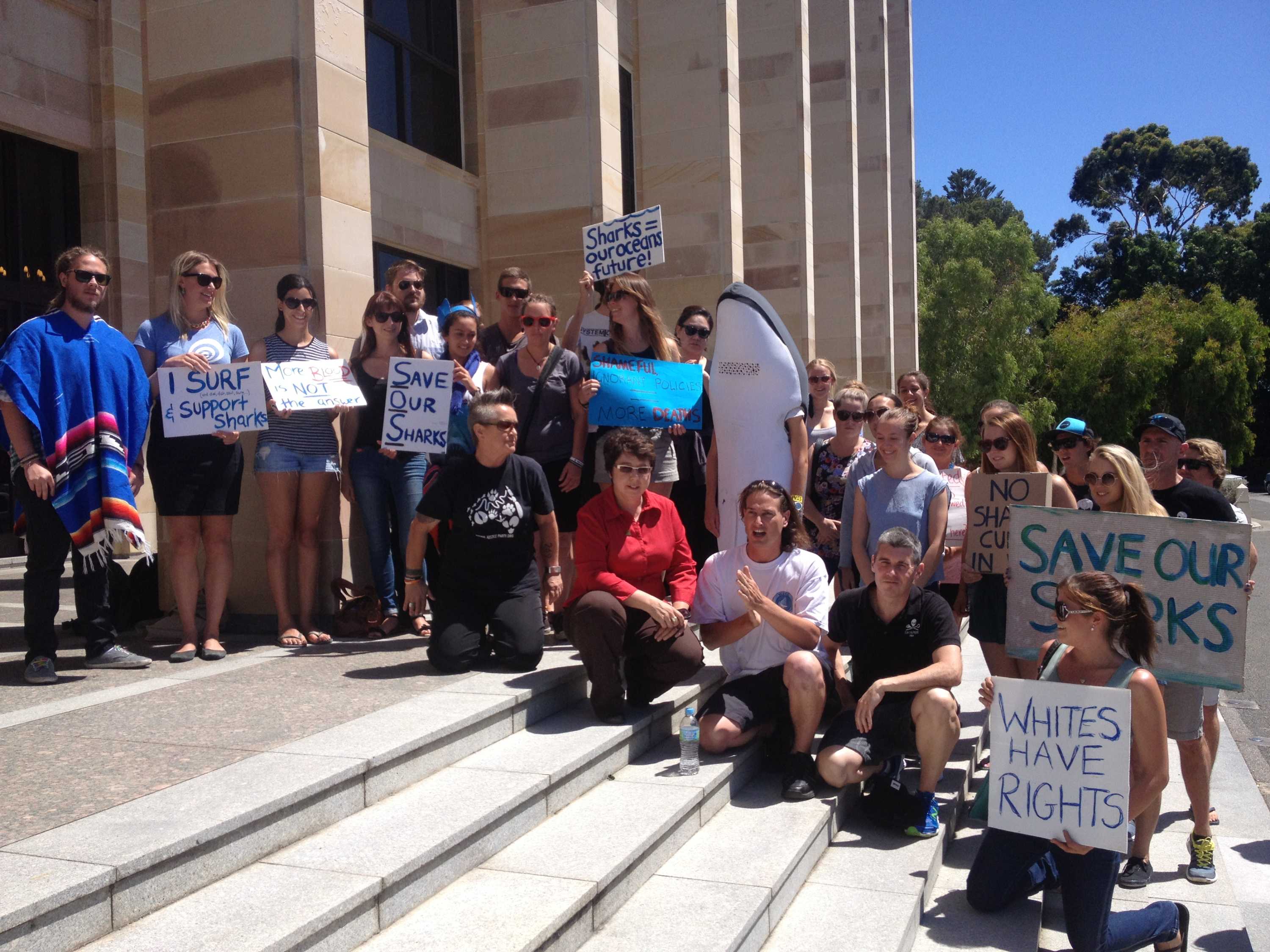 WA reveals plan to kill large sharks - ABC listen