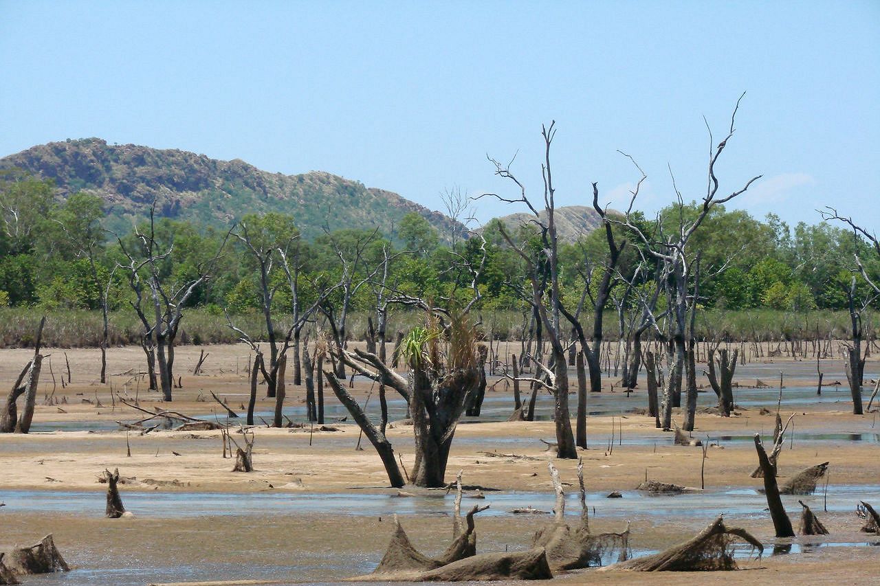 Child rapist Stephen White to be released from prison despite recent ...