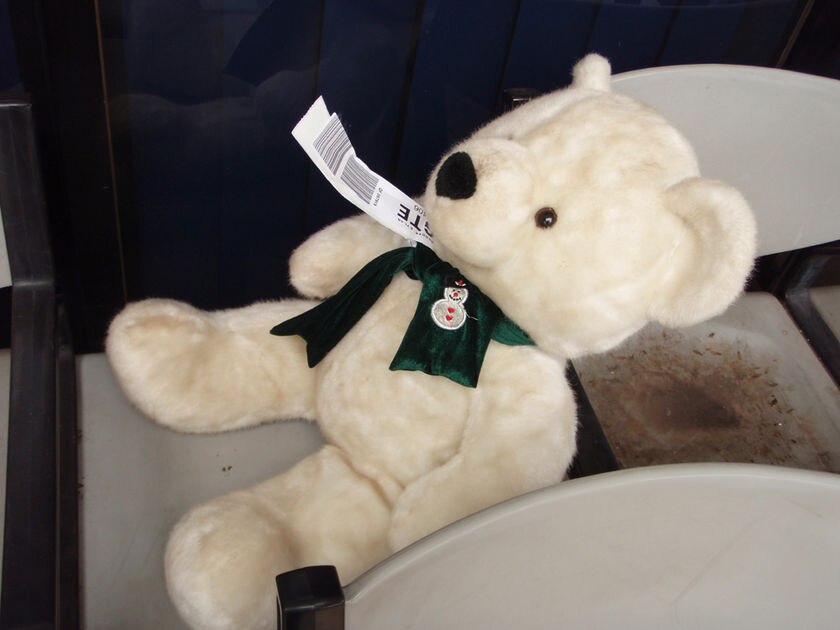 Yoda finds drugs in Christmas teddy bear - ABC News
