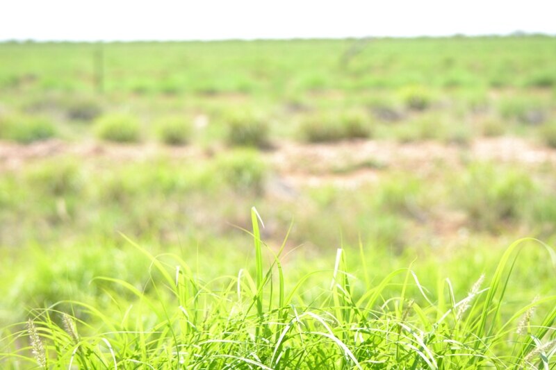 Hughenden residents call for rural bank - ABC News