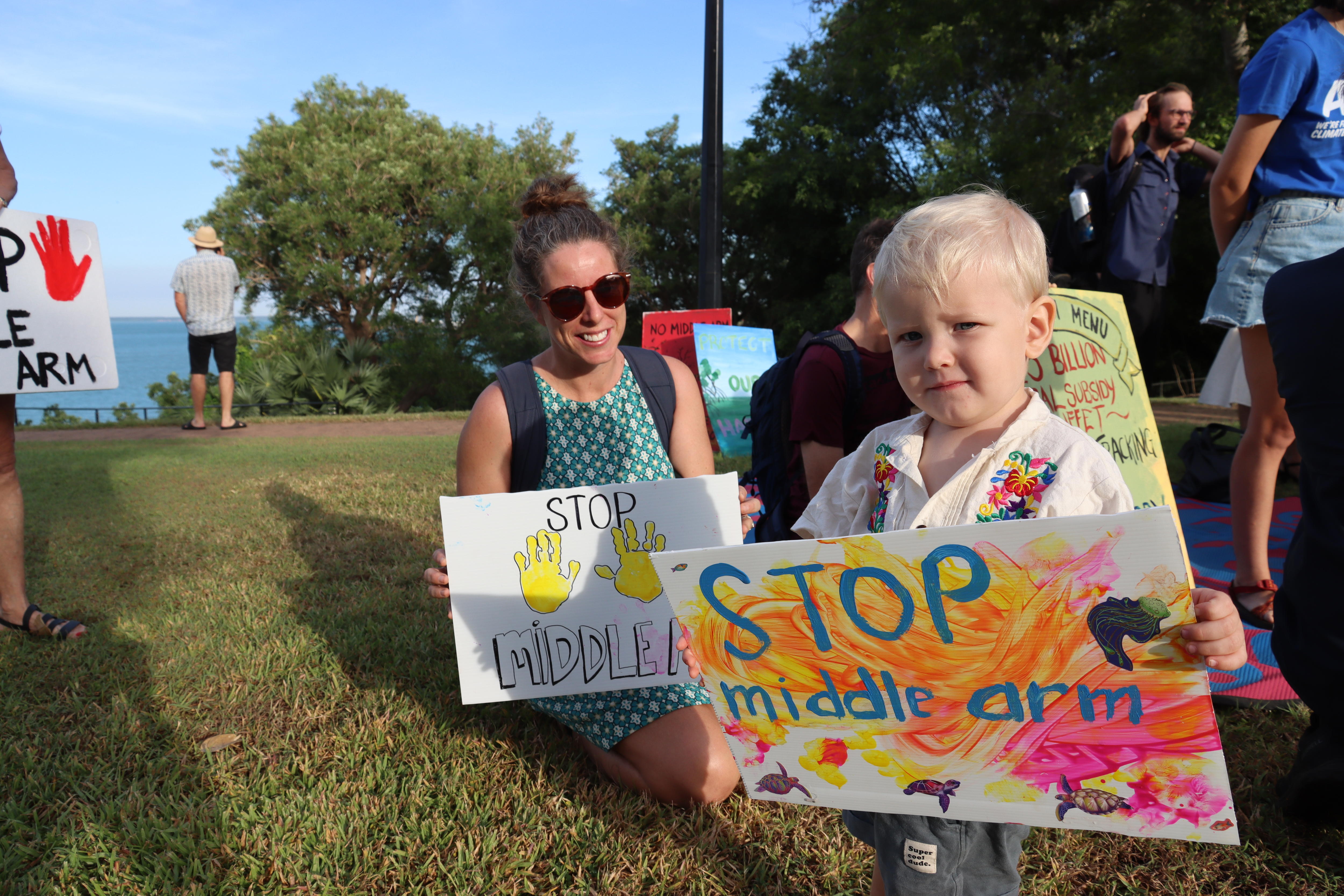 NT government tells Senate inquiry Middle Arm precinct may include ...