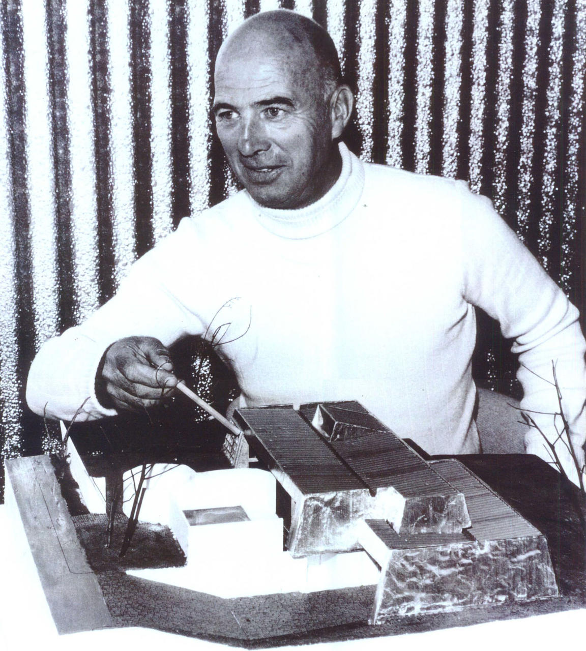 Ahead of the pack in architectural thinking - ABC News