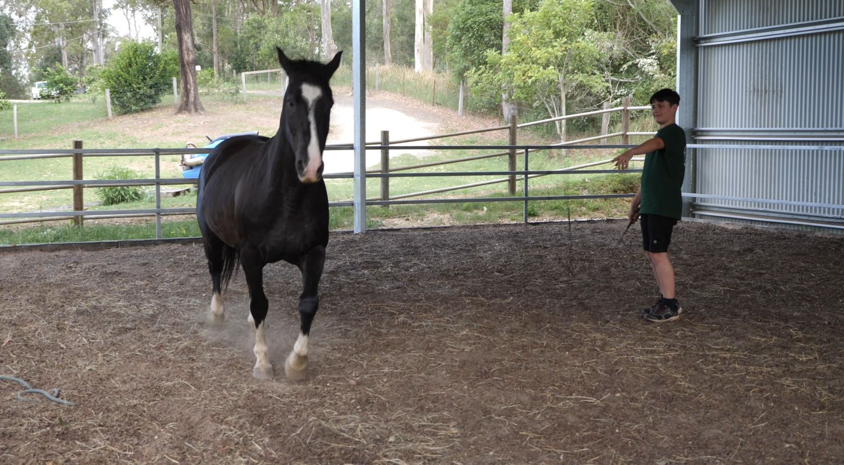 NDIS funding for equine therapy returned after mother wins campaign for ...
