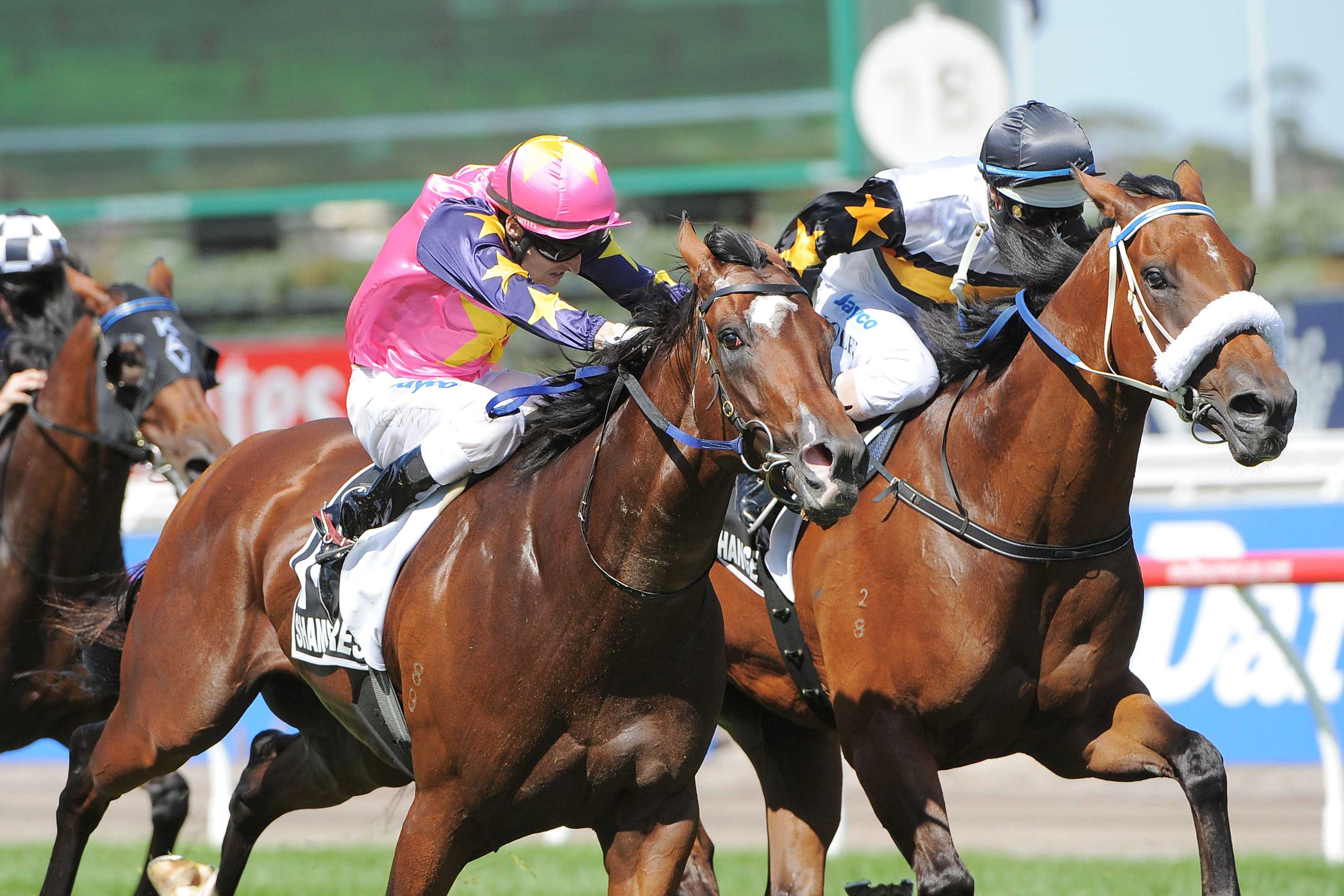 Jumpout has Shamexpress on target for Royal Ascot - ABC News