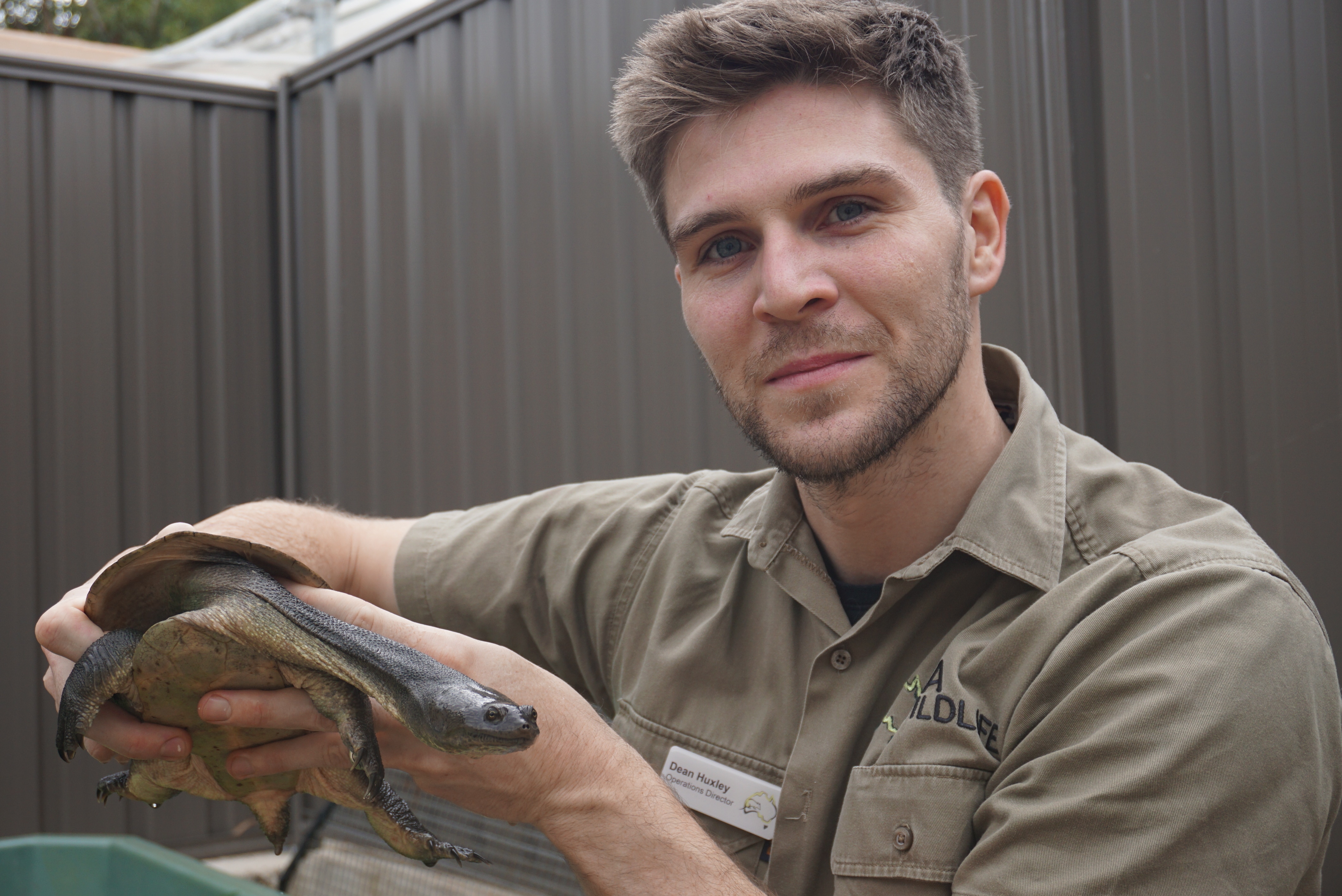 Perth's hot, dry conditions blamed for 100 turtle deaths at Bibra Lake ...