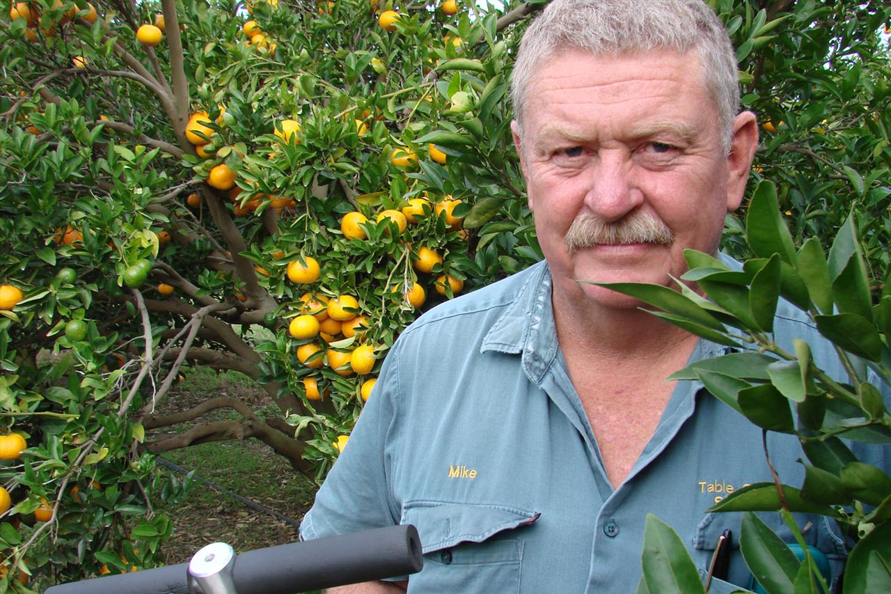 Compost cutting costs - ABC News