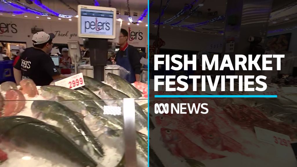 Giant portrait of Pablo Picasso carved on wasteland using a tractor in ...