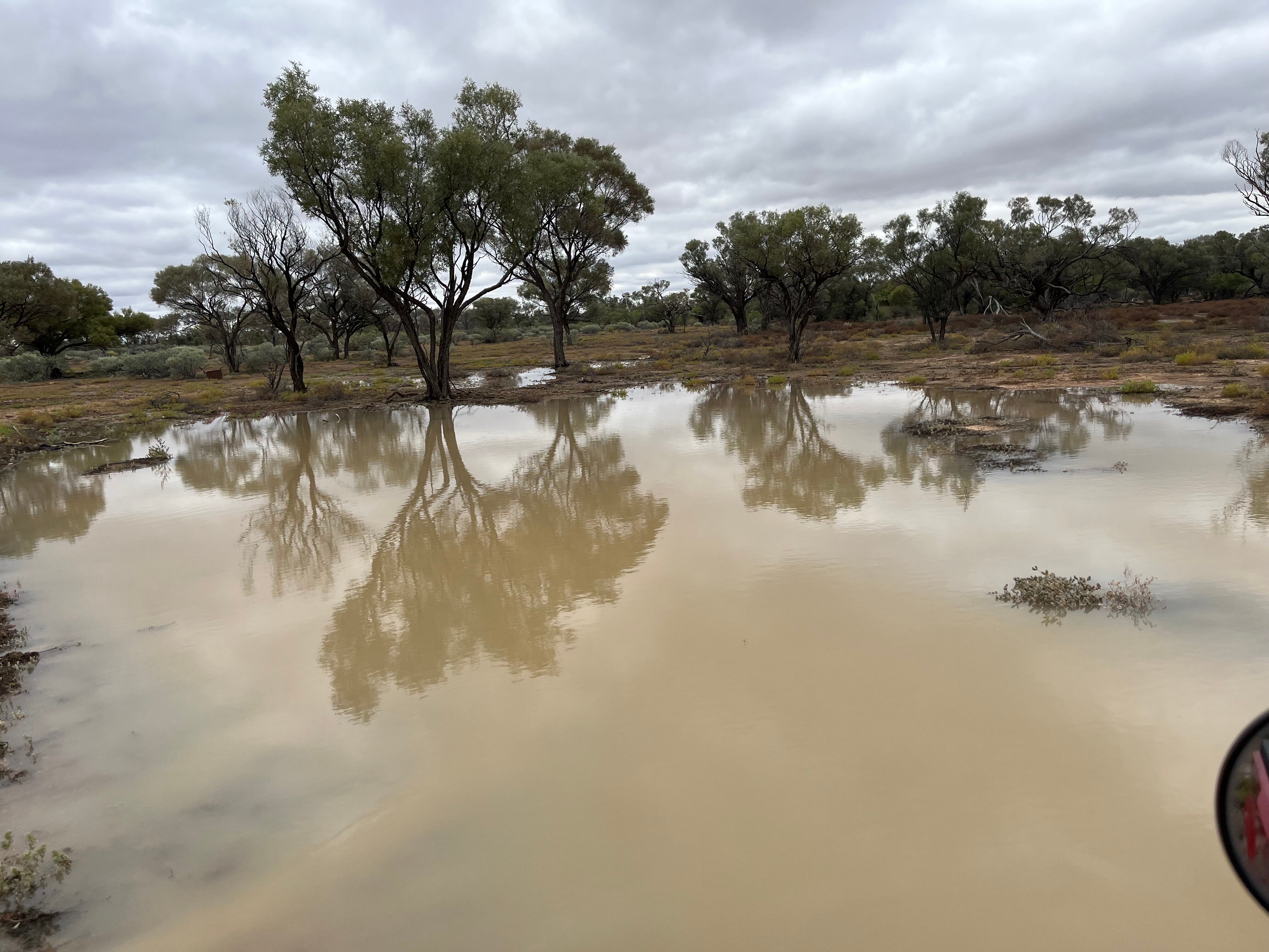 Storm cells sweep across outback Queensland bringing 'unusually' wet ...