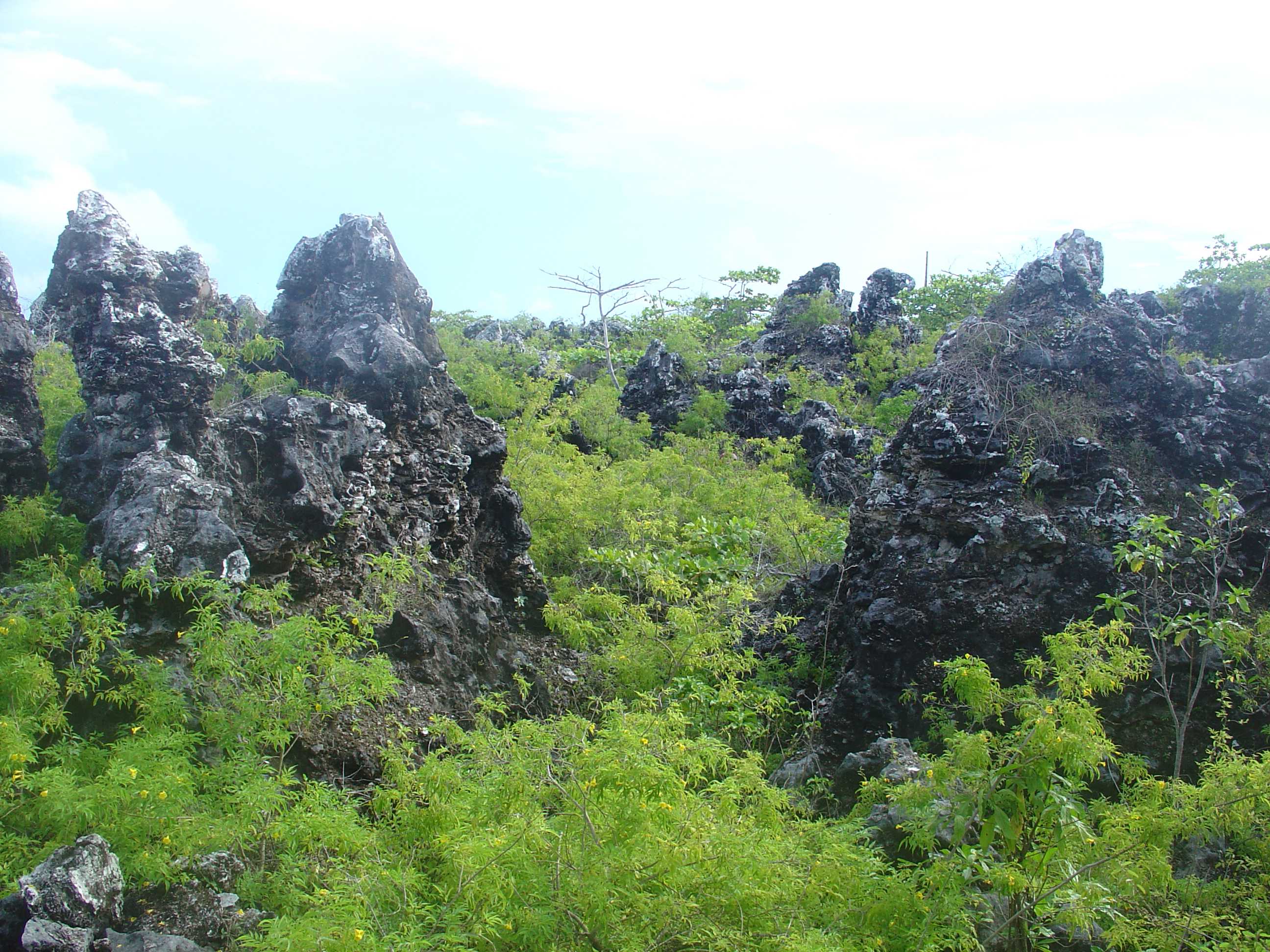 Australian company Centrex under fire from Banaban islanders displaced ...