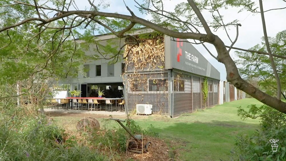 Growing School - Gardening Australia