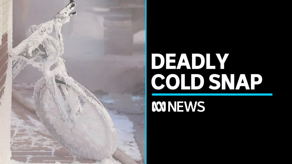 Deadly cold snap freezes regions in Asia - ABC News