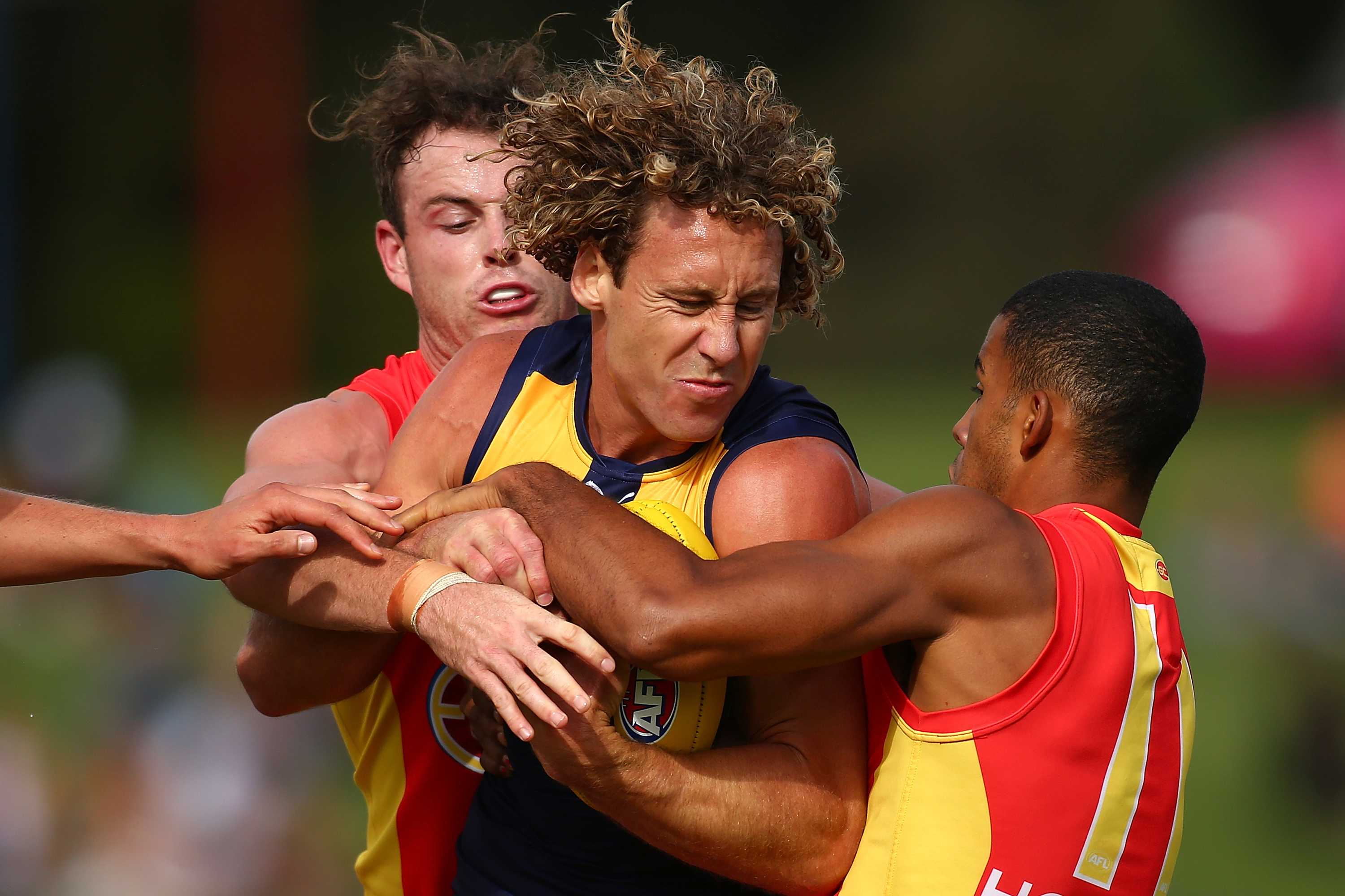 Matt Priddis, Shannon Hurn re-sign with AFL's West Coast Eagles - ABC News