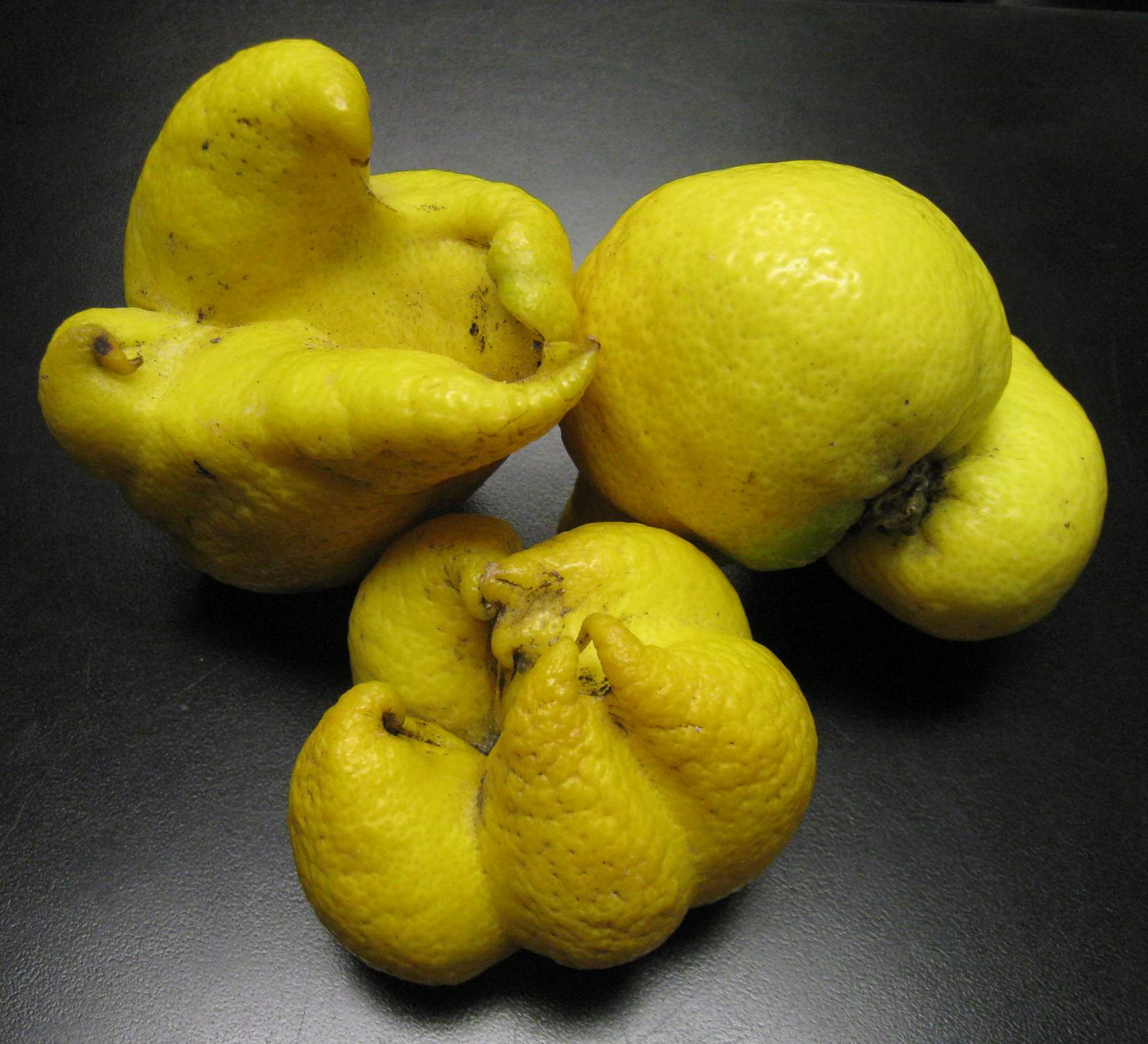 Campaign for ugly fruits aims to end food waste - ABC Radio National
