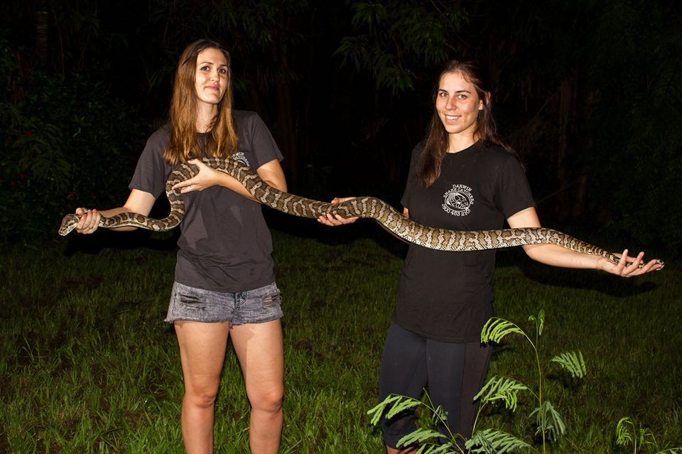 Jobs of NT: Snake Catcher - ABC Darwin