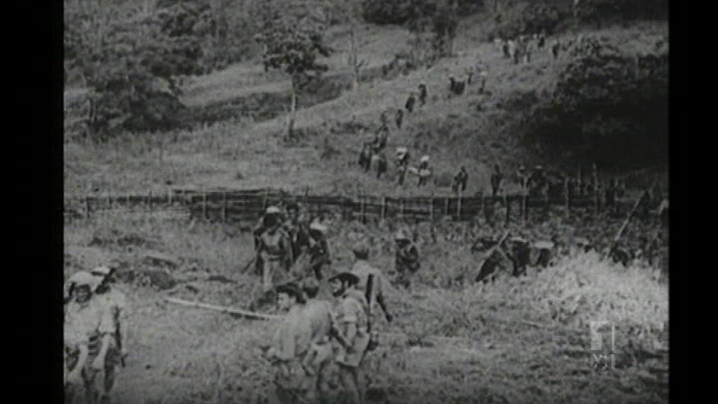 Timor Battle - ABC News