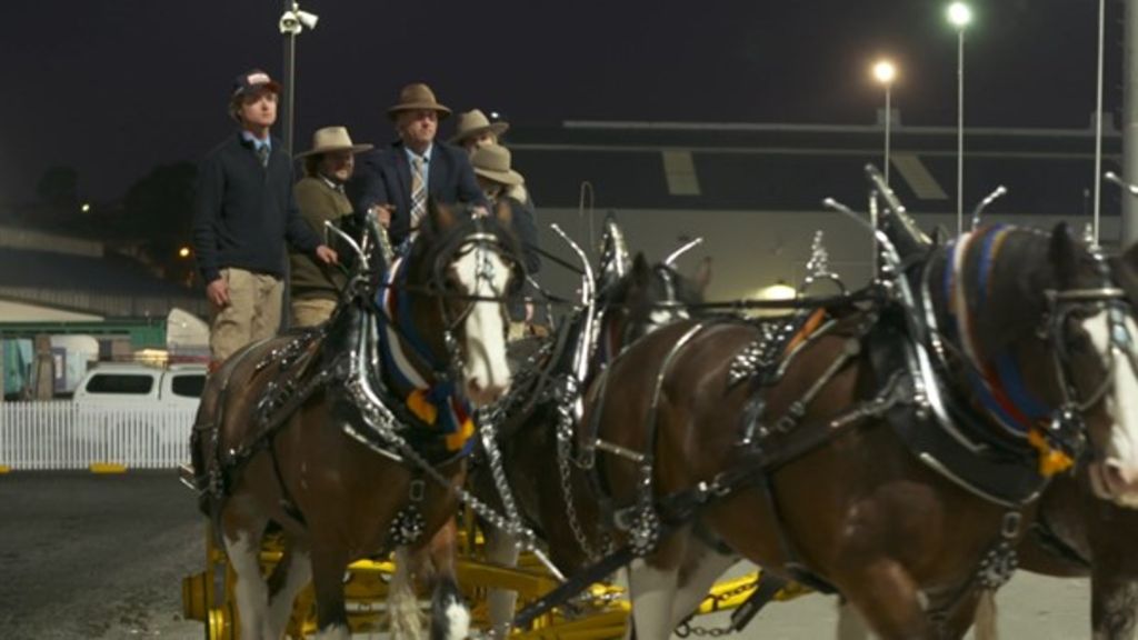 ABC Rural - ABC News