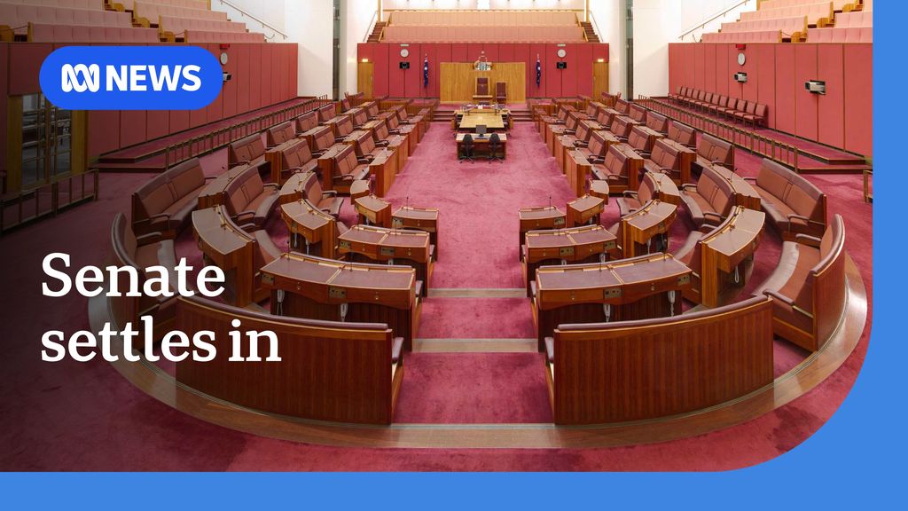 Kidfluencers - ABC News