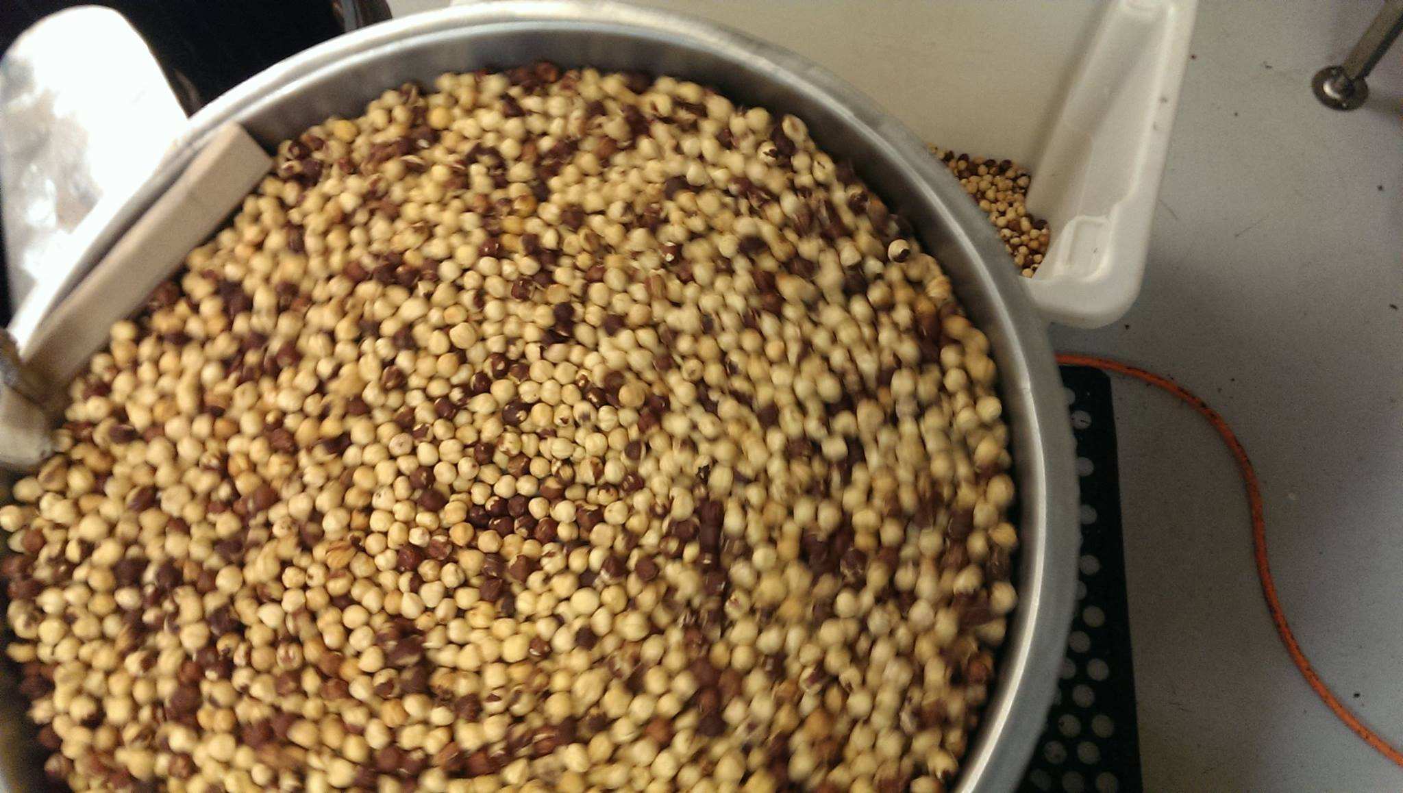 Chocolate tempts food engineer into sweet career - ABC News