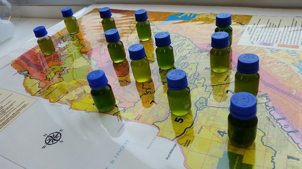 Olive oil origin insight to be explored in boosting provenance ...