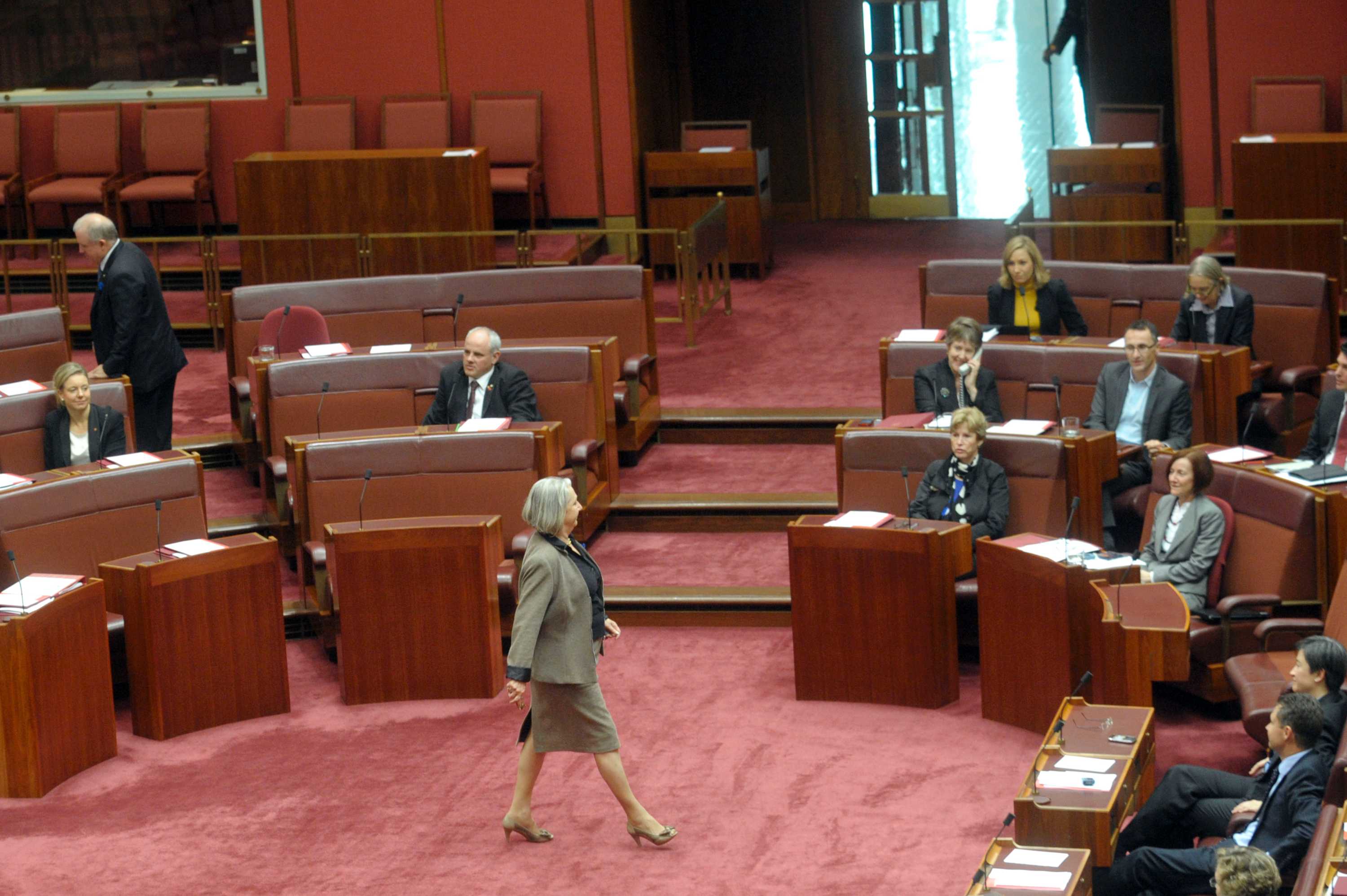 Liberal Senator Sue Boyce crosses floor on same-sex marriage bill - ABC ...