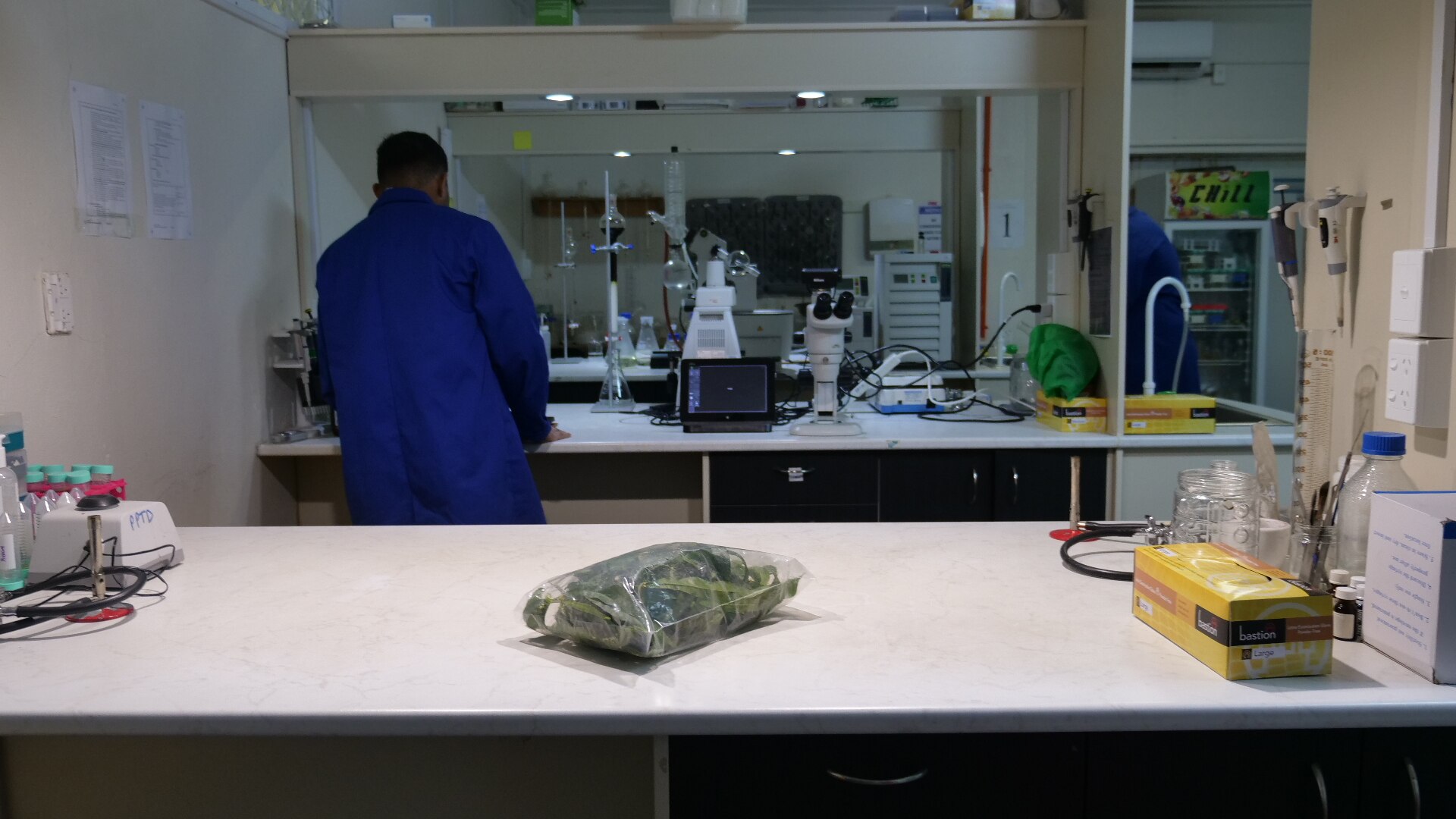 Inside Samoa's lab where scientists are unlocking the power of plants ...