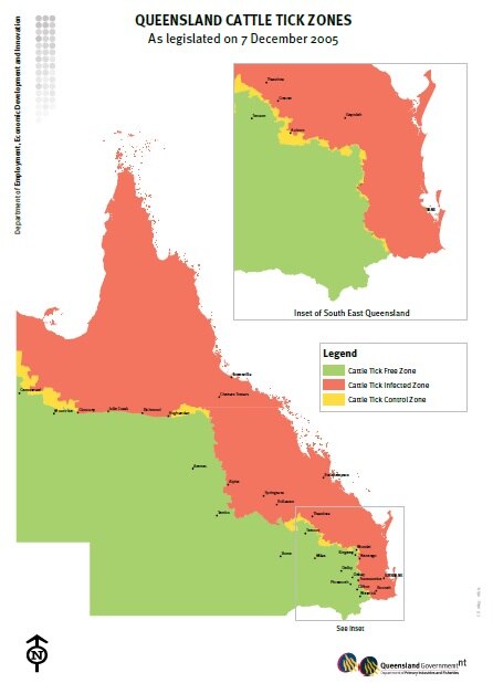 Producers given more time to debate course of Queensland tick line ...