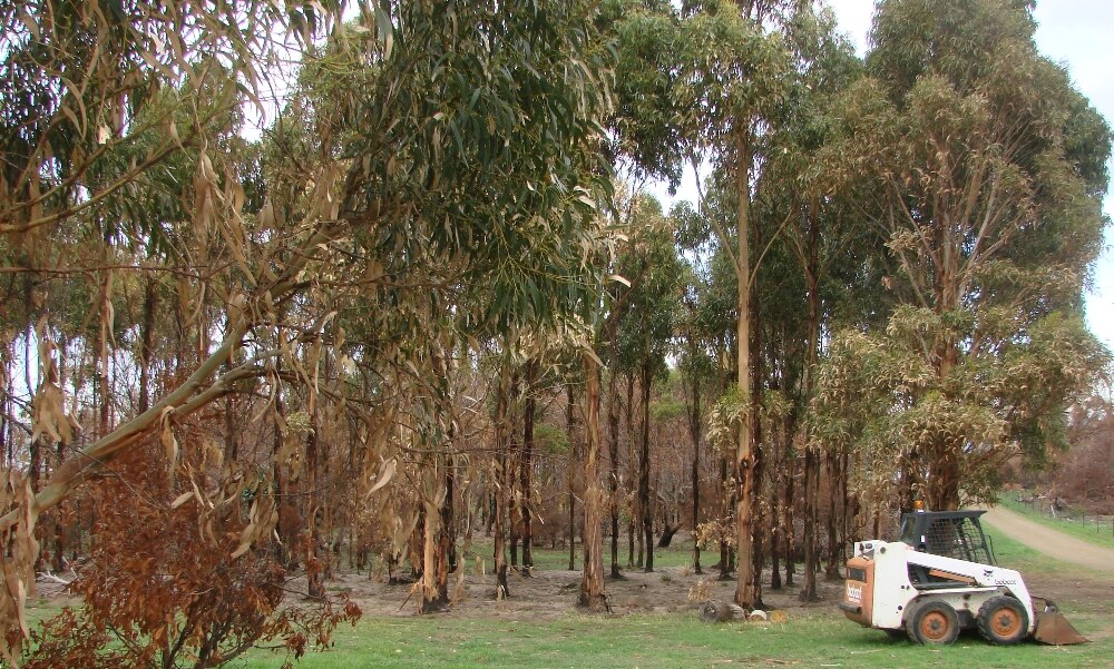 When and where to control burn in Tasmania - ABC News