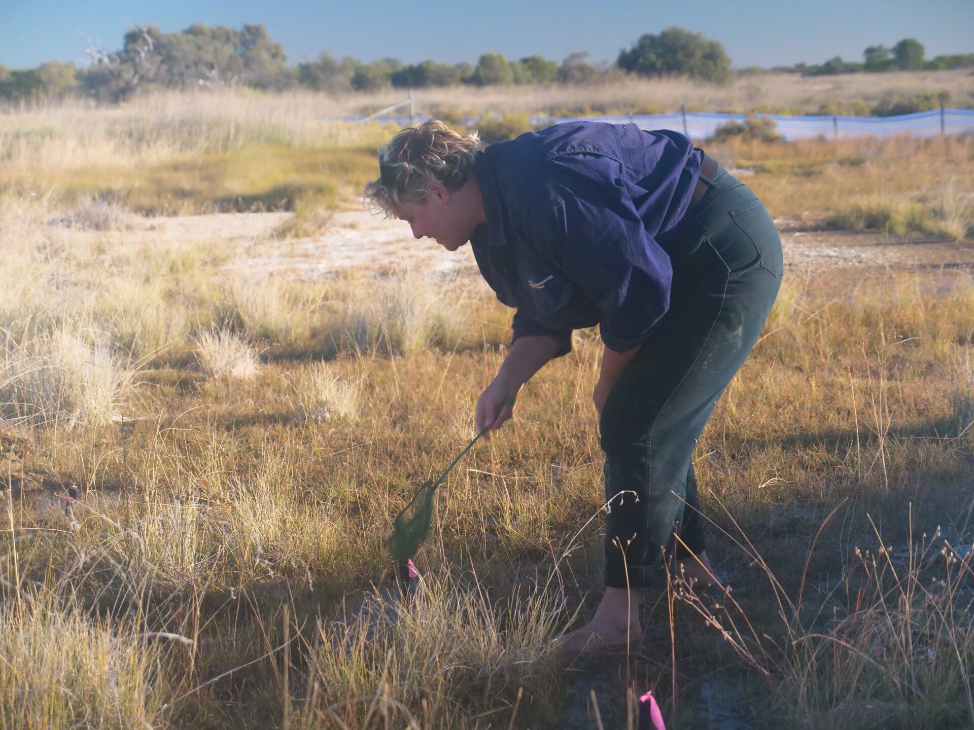 Newly protected Edgbaston Reserve in Queensland home to 37 species ...