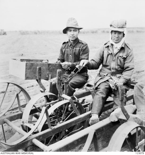 After Darkness and the war experience for Japanese 'enemy aliens' in ...