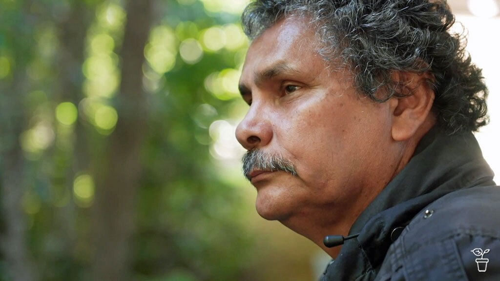 My Garden Path | Gerry Turpin - Gardening Australia