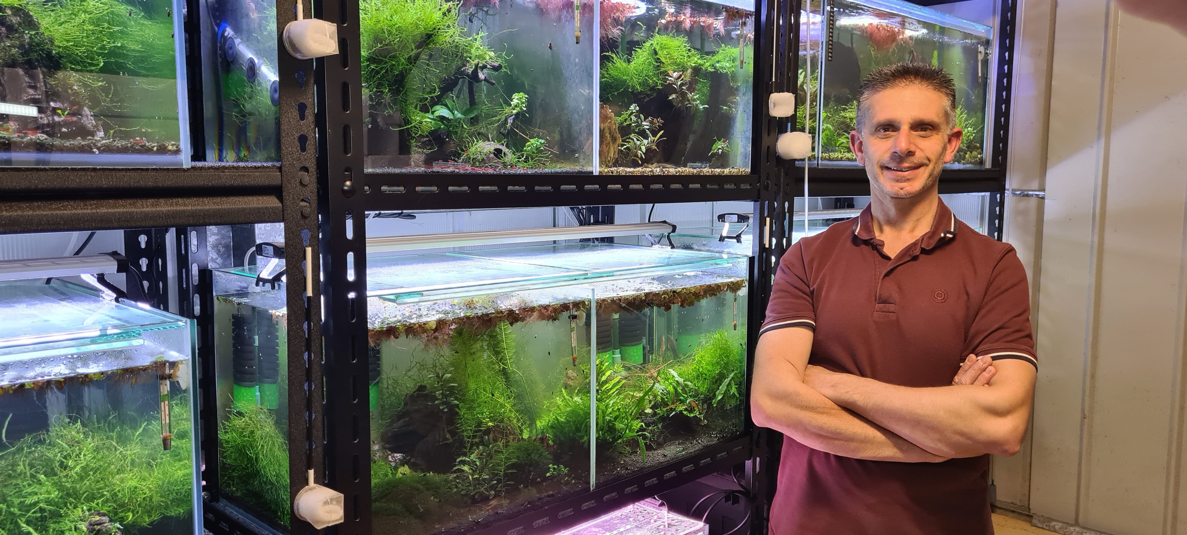 Dwarf shrimp latest addition to micro pet craze - ABC News