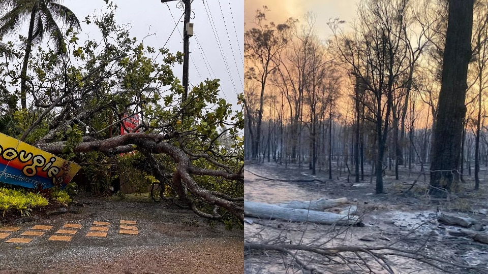 Bushfires - Topic - ABC News