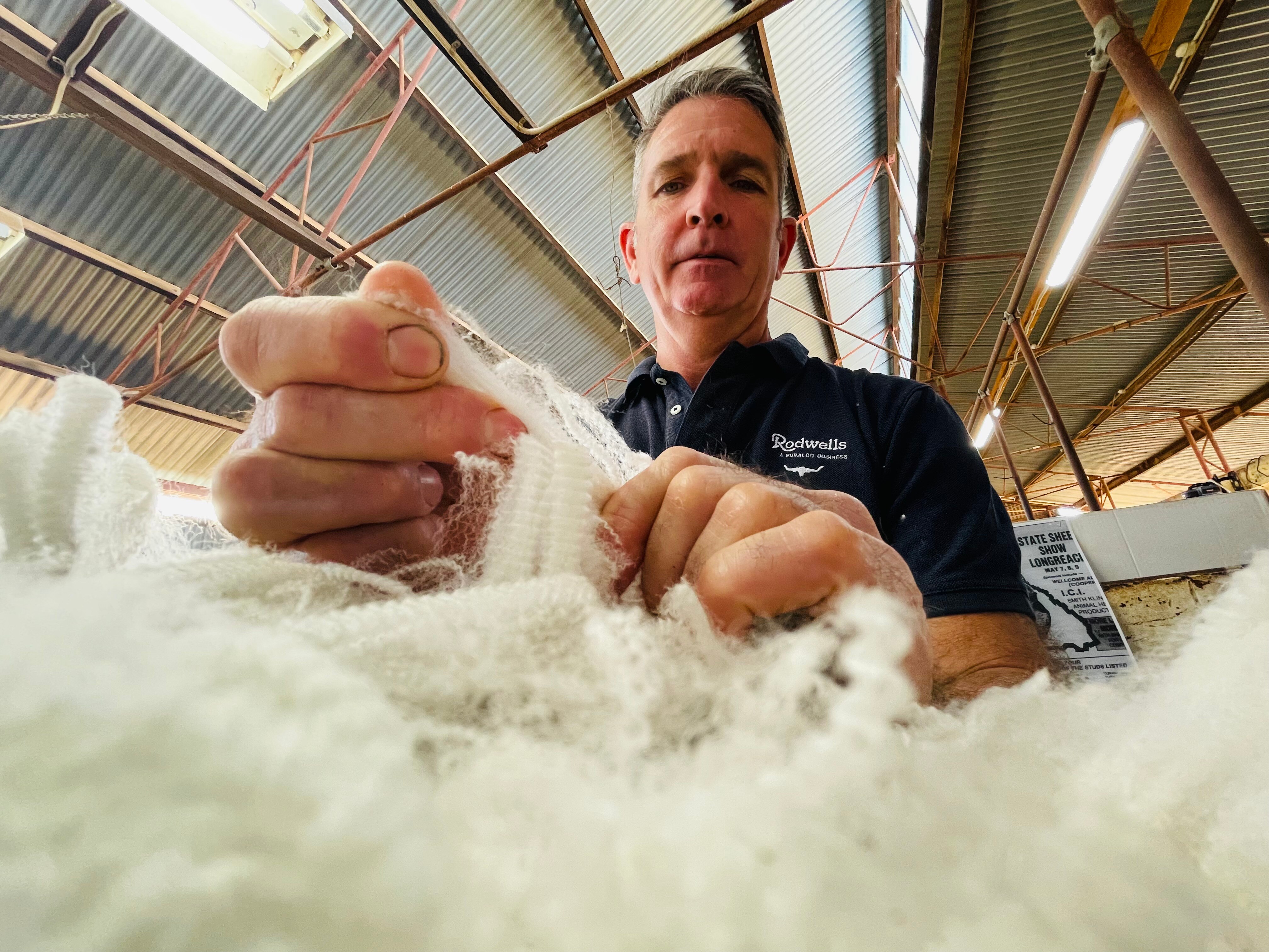 Ekka's COVID cancellation sees wool judging moved to western Queensland ...