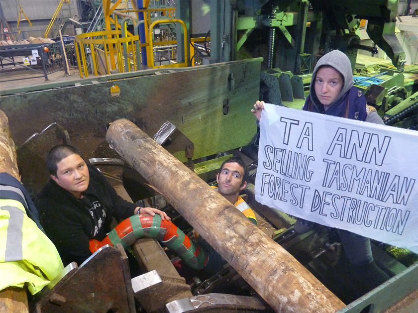 Union warns forest protest could jeopardise peace talks - ABC Radio