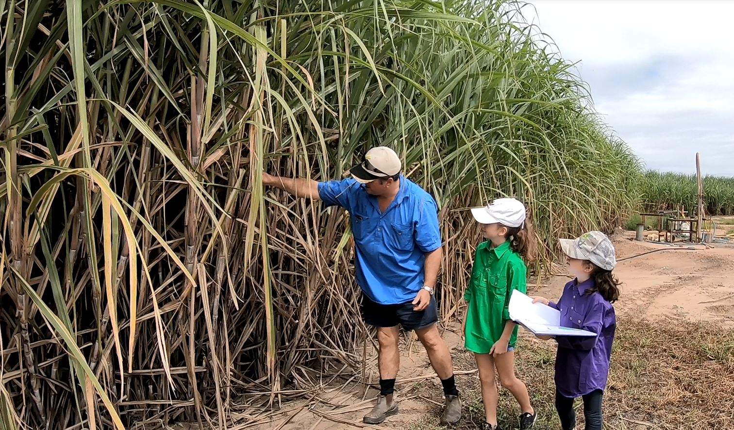 Cane farmer draws on Basque heritage to encourage female farm ...