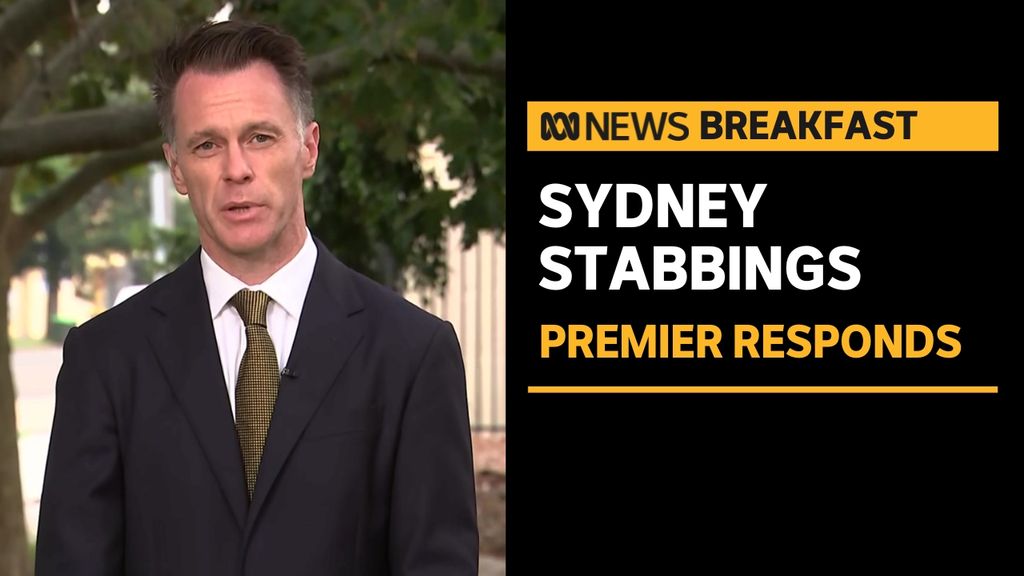 Premier Chris Minns responds to the recent stabbings - ABC News