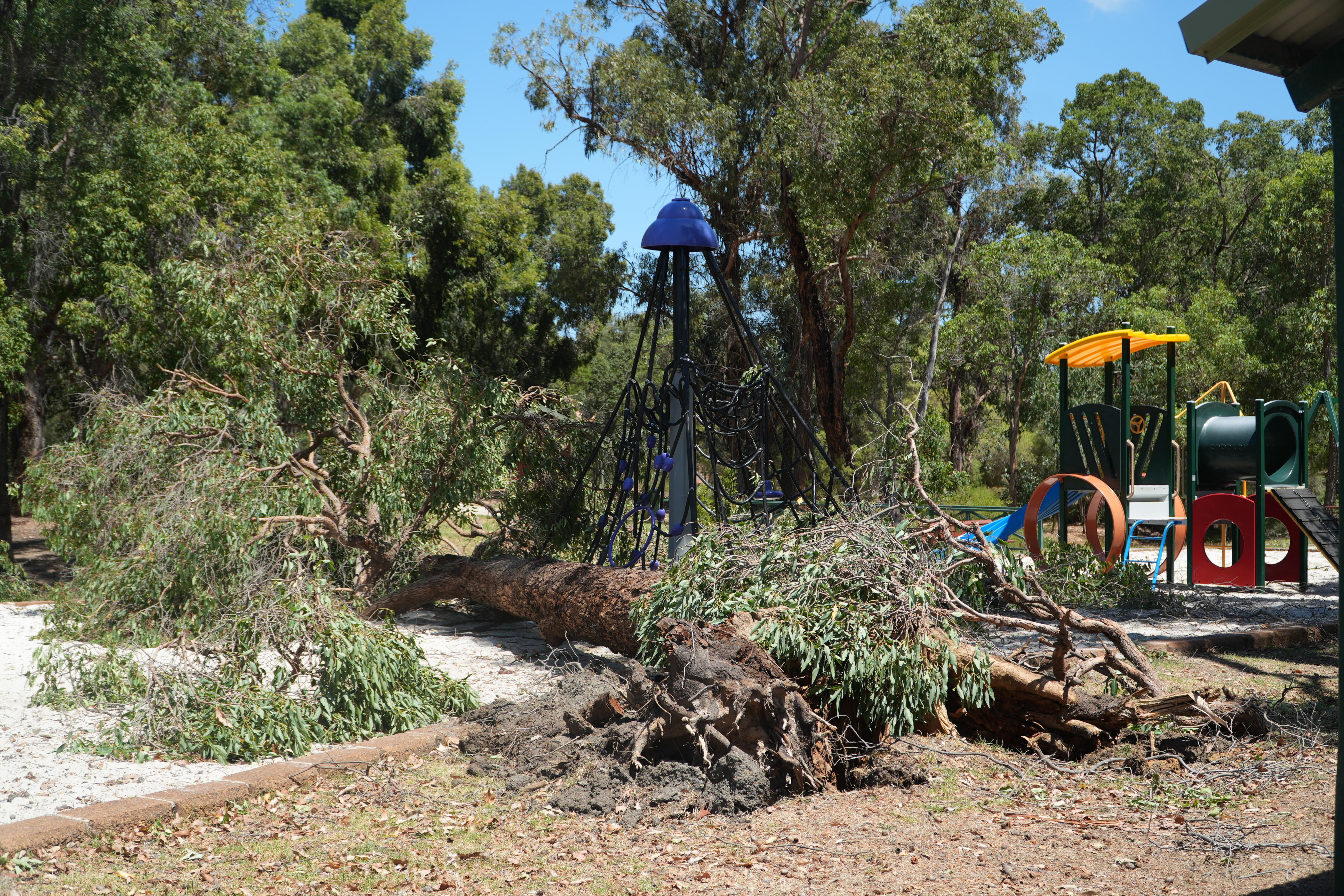 Perth Hills storm that damaged homes was 'microburst', not tornado, BOM ...