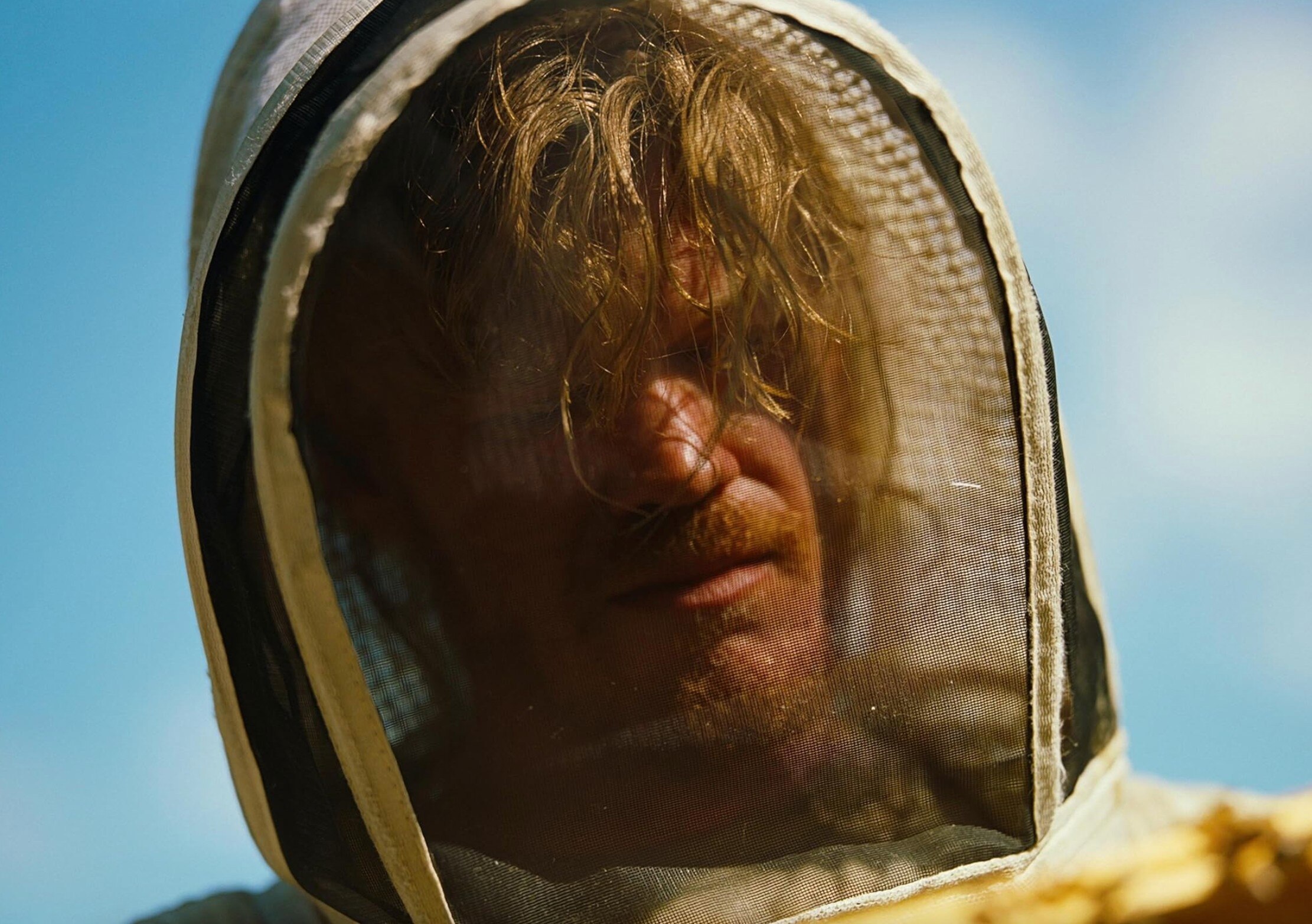 ‘Bugonia’ and the psychology of belief: What Yorgos Lanthimos’s new ...