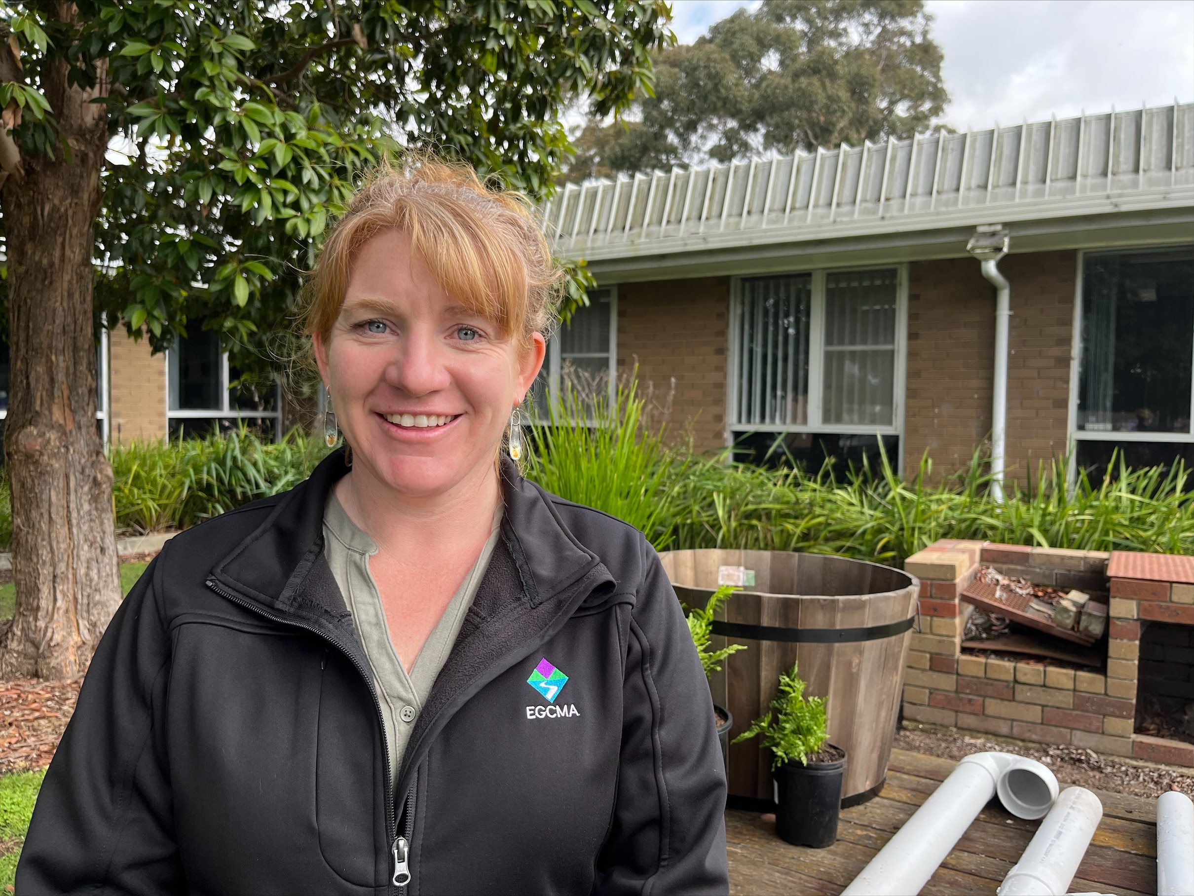 Backyard 'frog hotels' hoped to help species recover from East ...