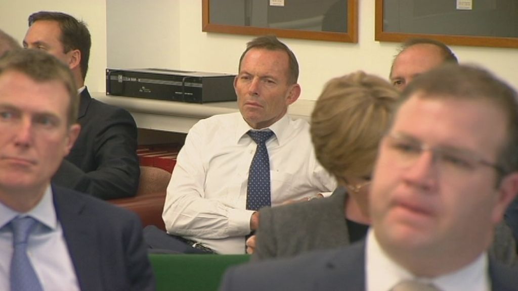 A Finkel Fight - ABC News