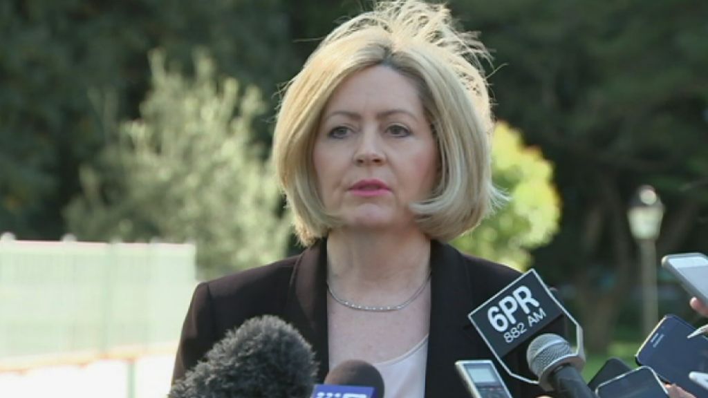 Lord Mayor Lisa Scaffidi says she has support of the majority of ...