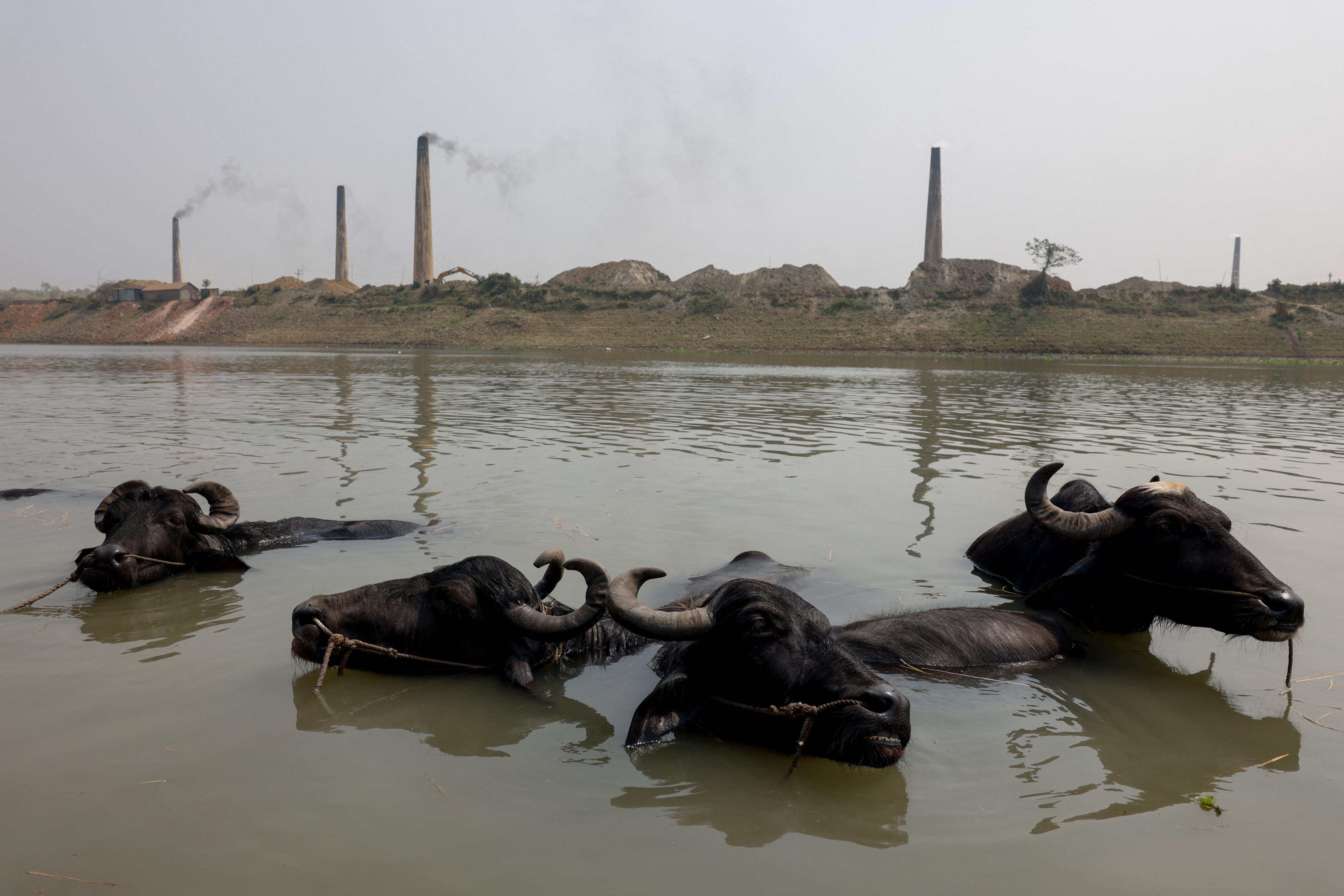 What is it like living by a ‘dead’ river in Bangladesh, where pollution ...