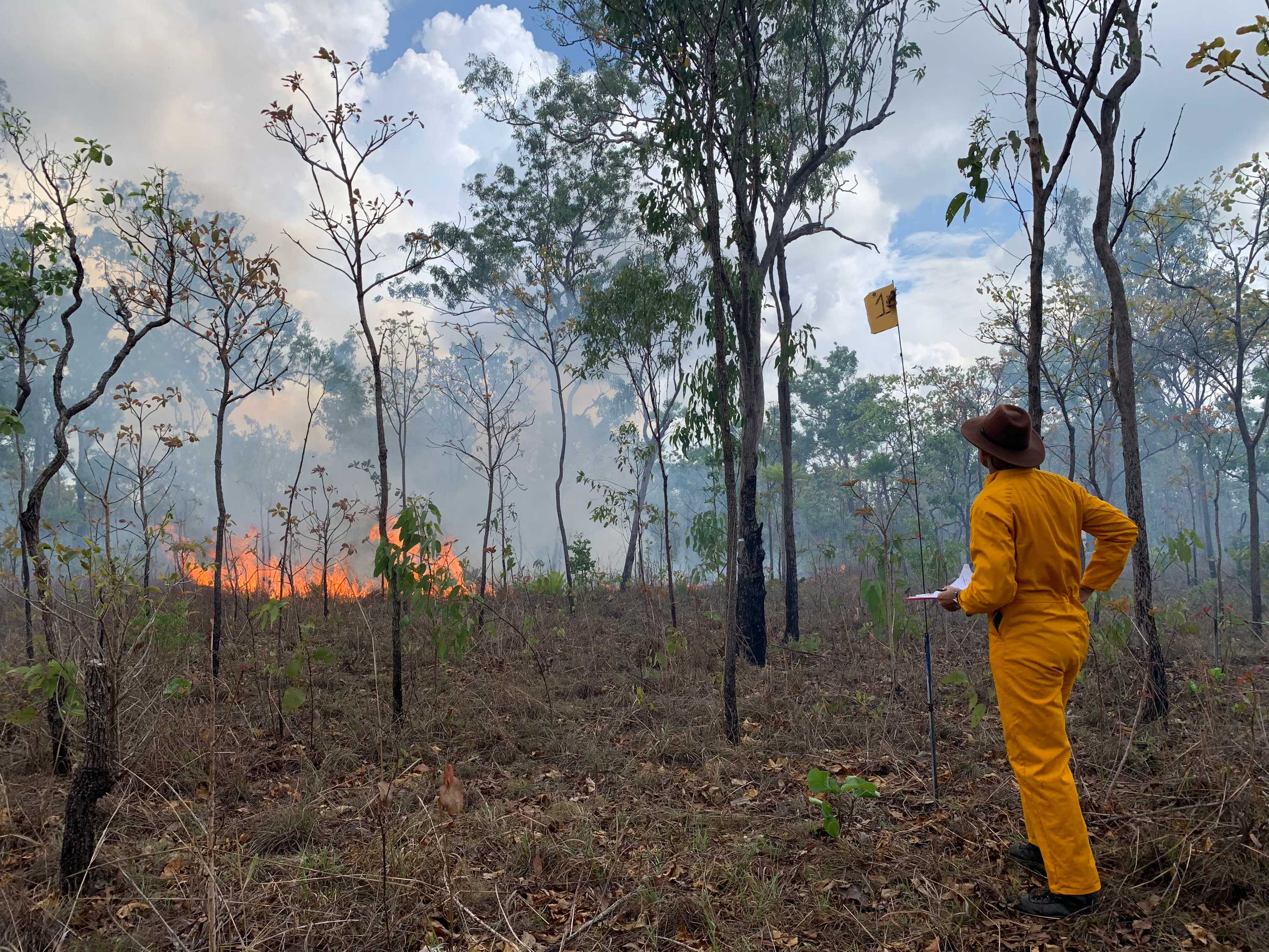 NT bushfire scientists research controlled burns and their impacts on ...