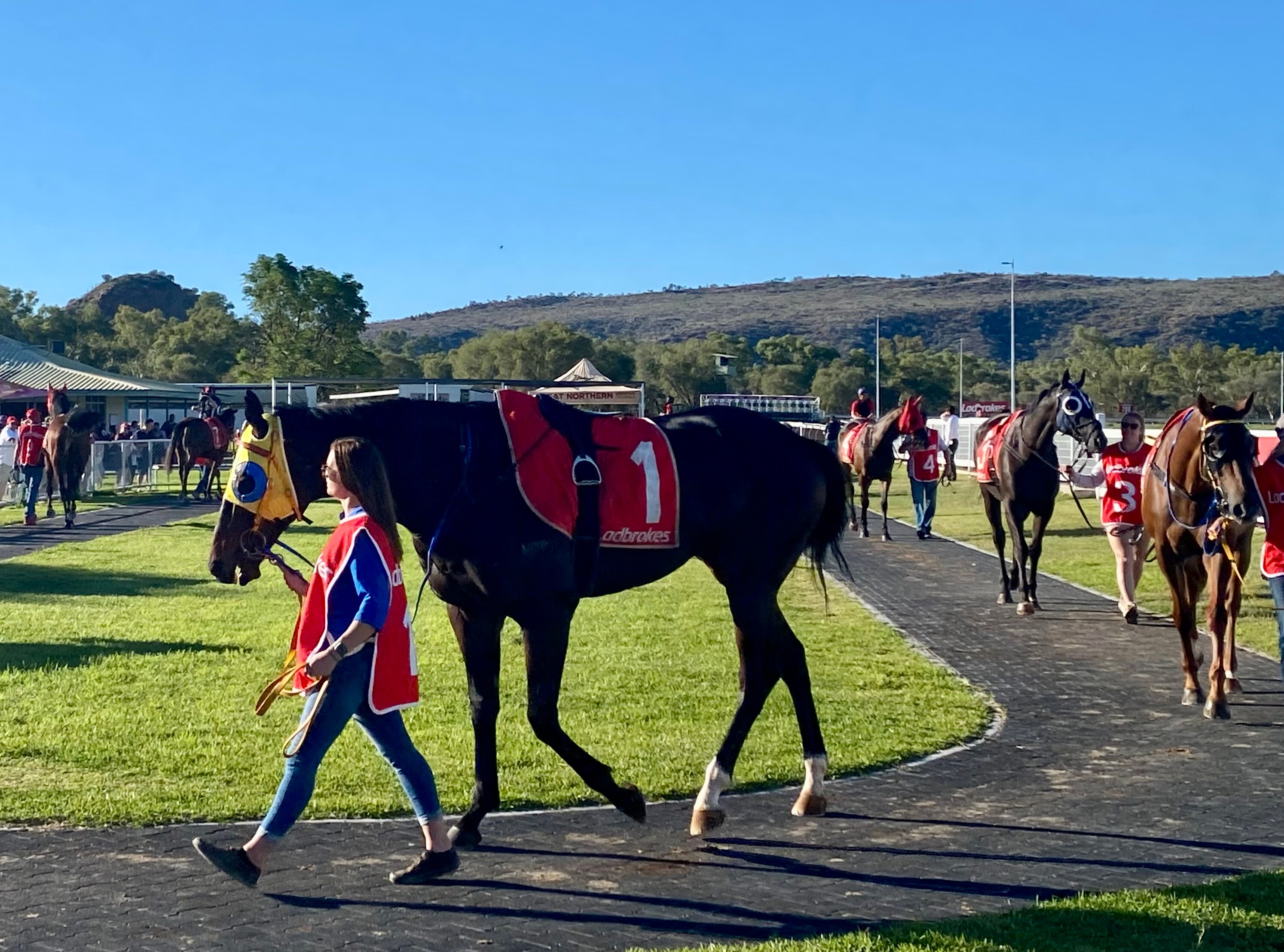 NT Country Hour with Matt Brann - ABC listen
