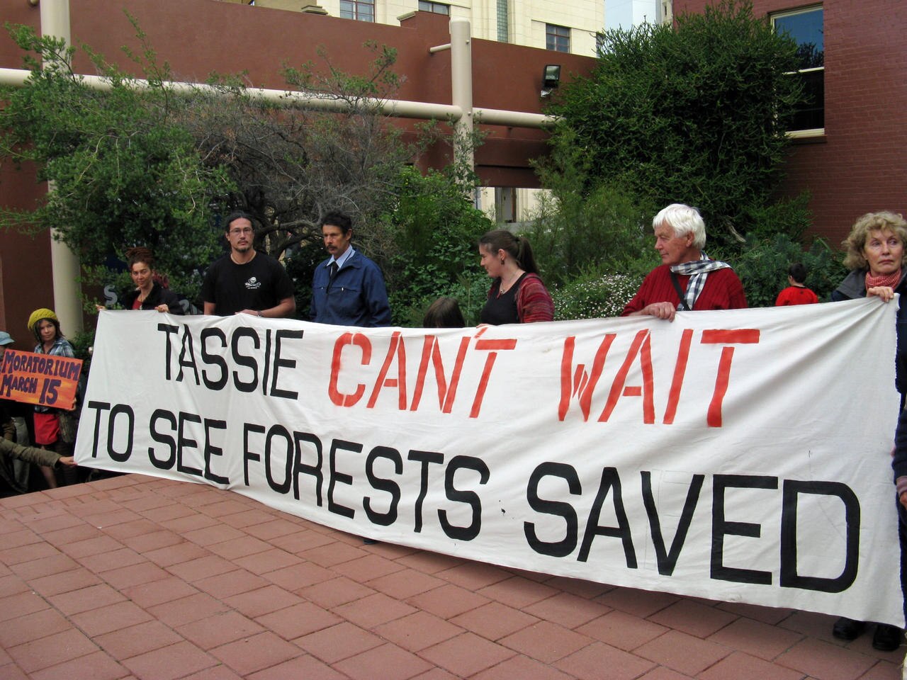 Forest moratorium protest - ABC News