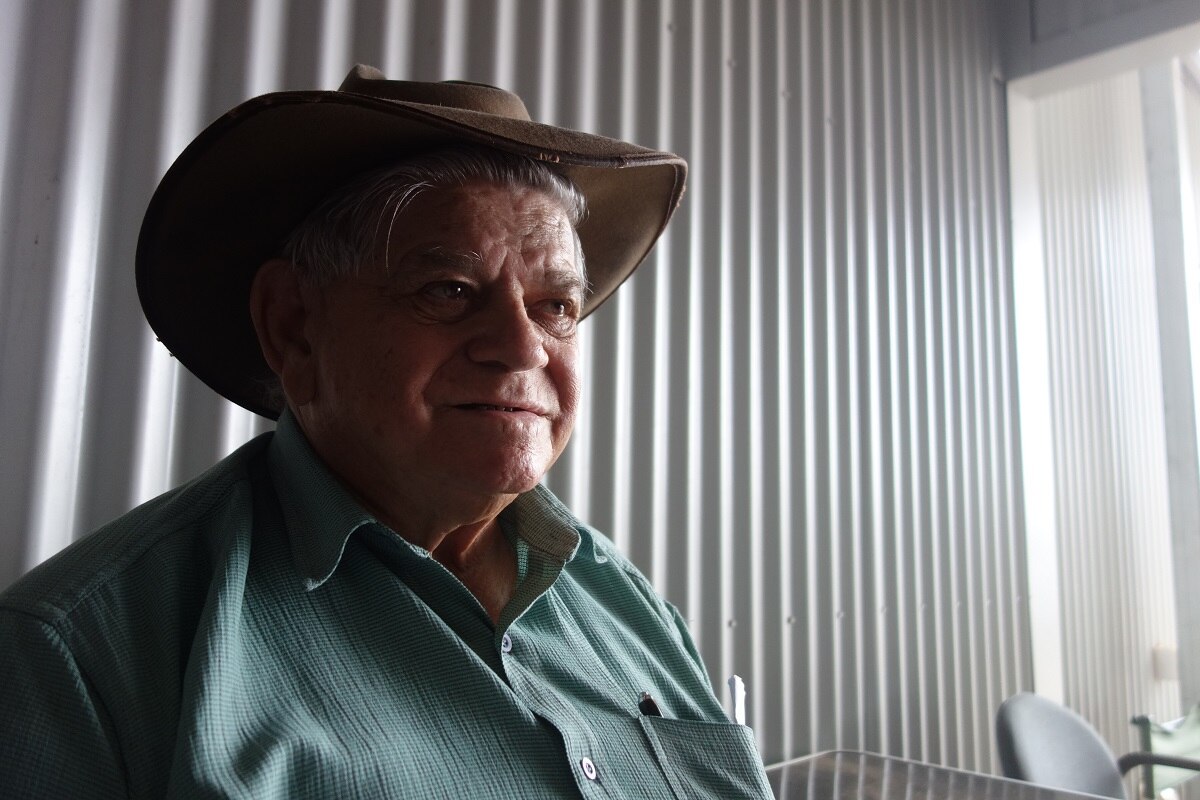 Burrup Peninsula rock art shows extinct megafauna and Tasmanian tigers ...