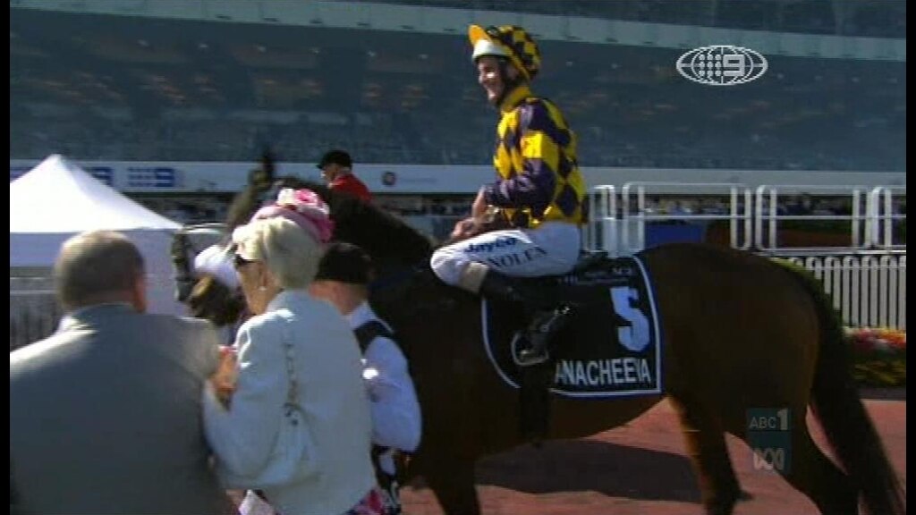 Anacheeva triumphs at Caulfield - ABC News