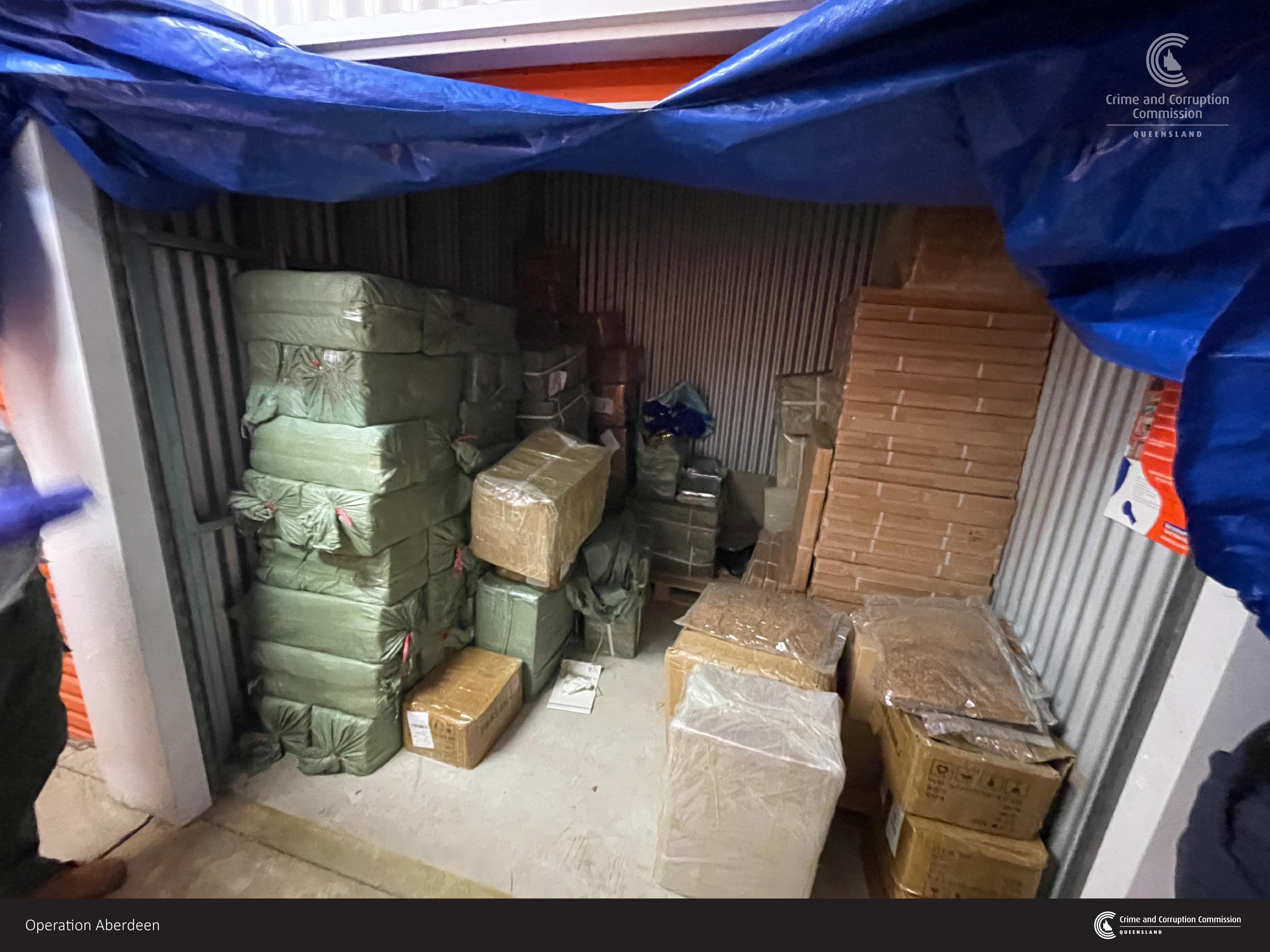 Michelle Tapper - ABC News