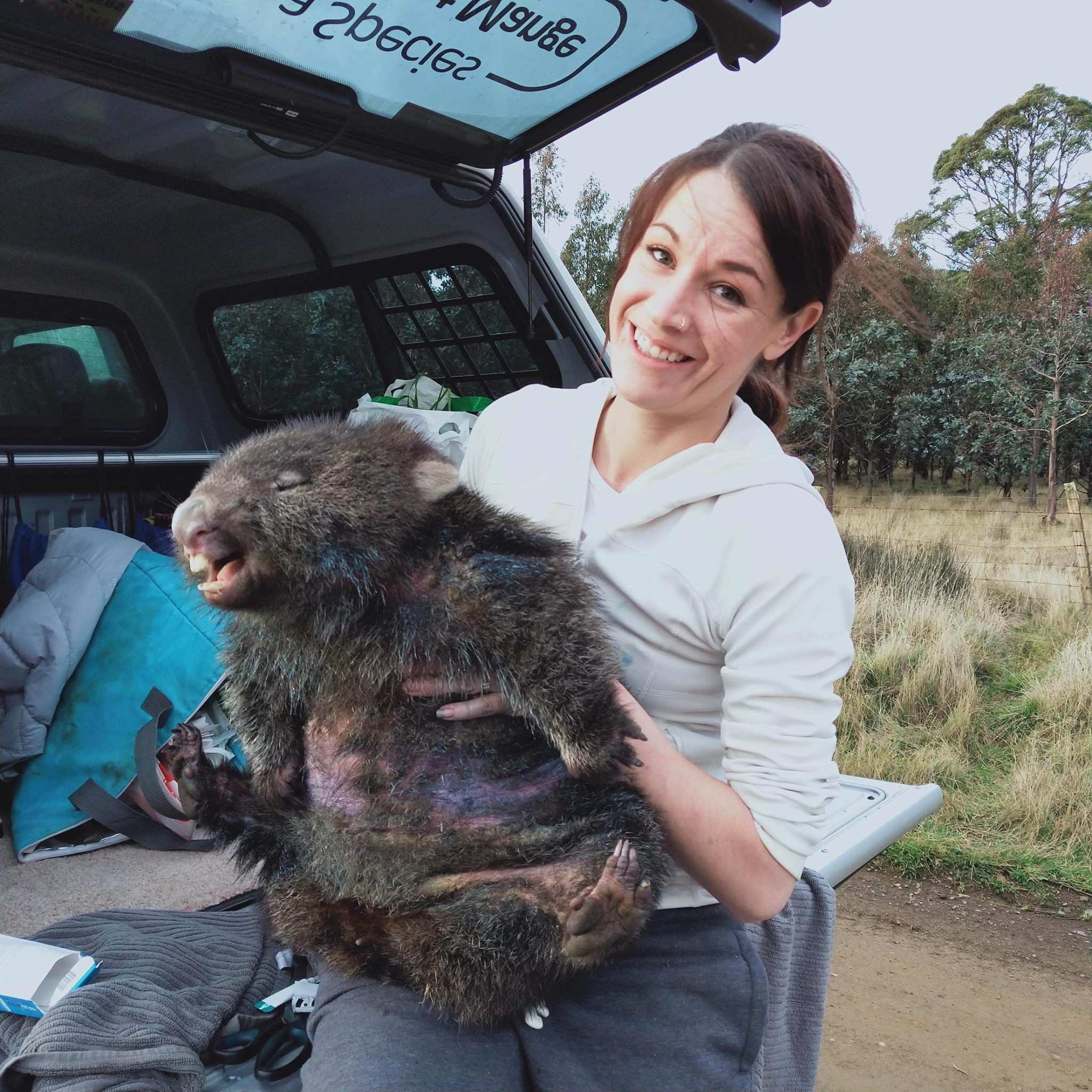 Meet wombat warrior Vanessa Fletcher and learn how you can help the fight - ABC listen