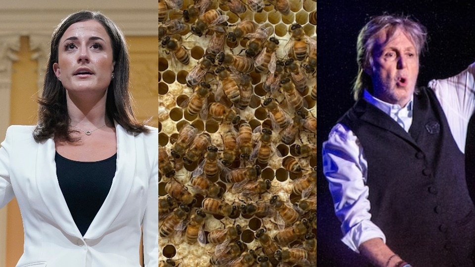 It's time for a news quiz: How much do you remember from the week that ...